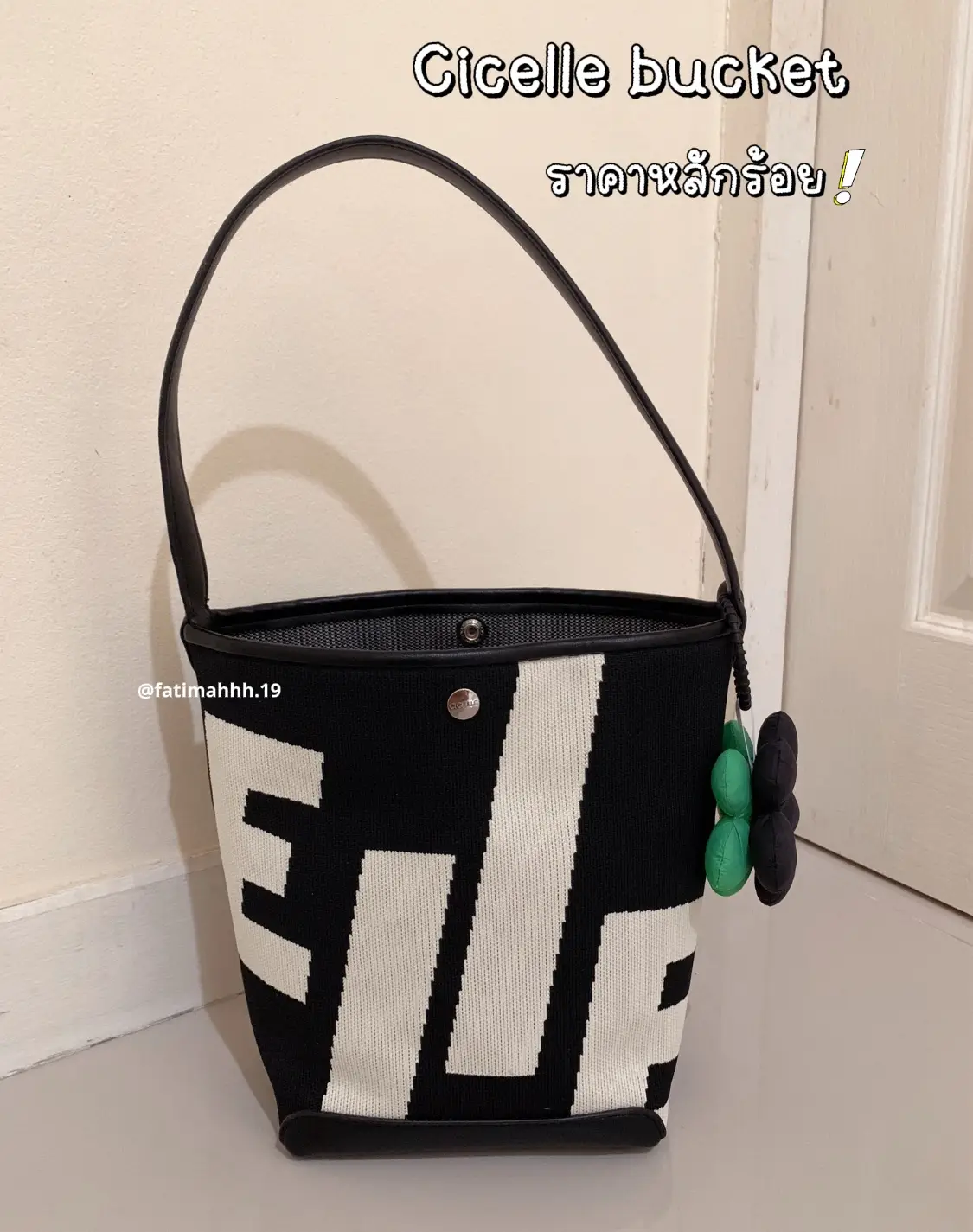 🌷 Latest New Cicelle Bag | Gallery posted by FA♡ | Lemon8