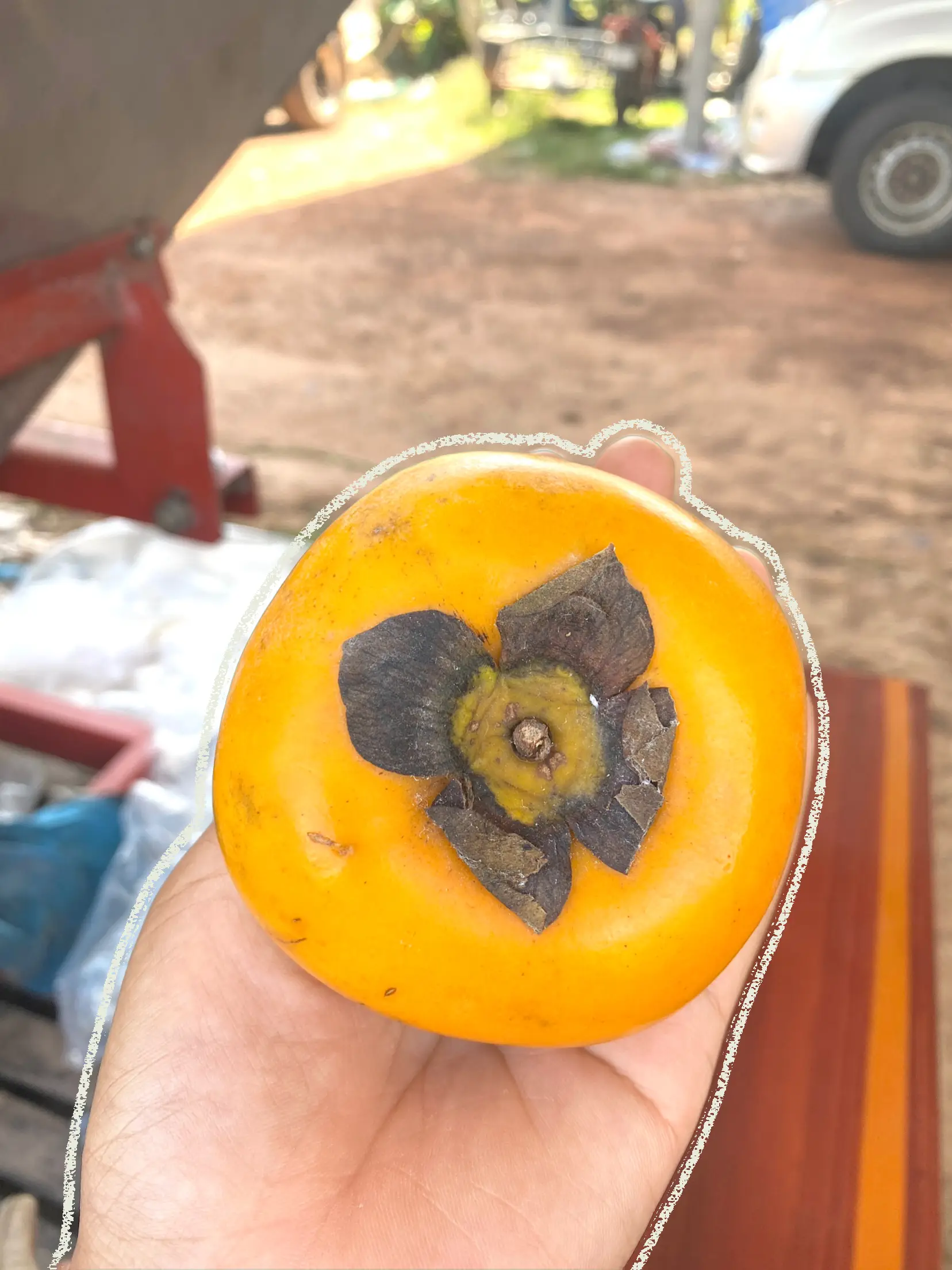 90วันฉันจะผอม🌈 day75 | แกลเลอรีที่โพสต์โดย Fah_fahfahfah | Lemon8