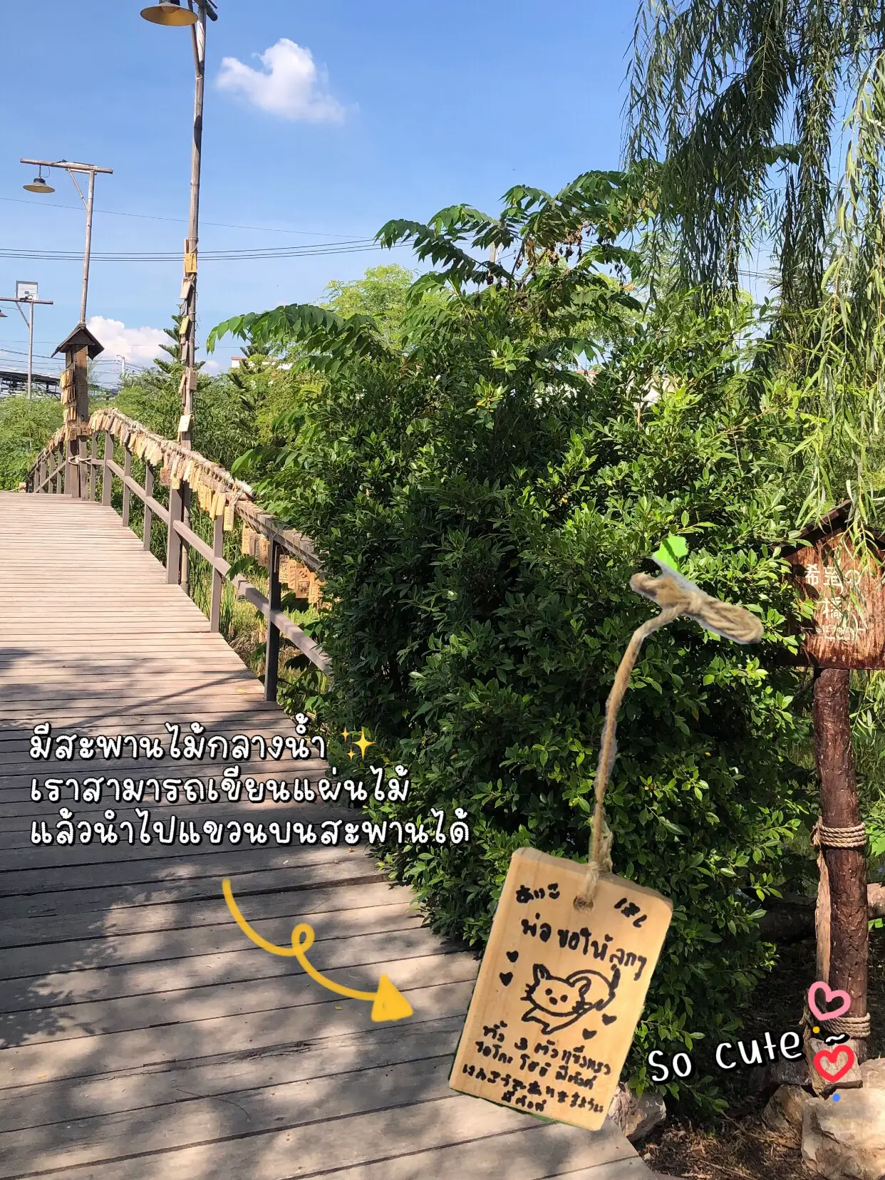 THREE ICONIC (Cafe ย่านลำลูกกา ปทุมธานี) 🎏💖 | แกลเลอรีที่โพสต์โดย Goy ...