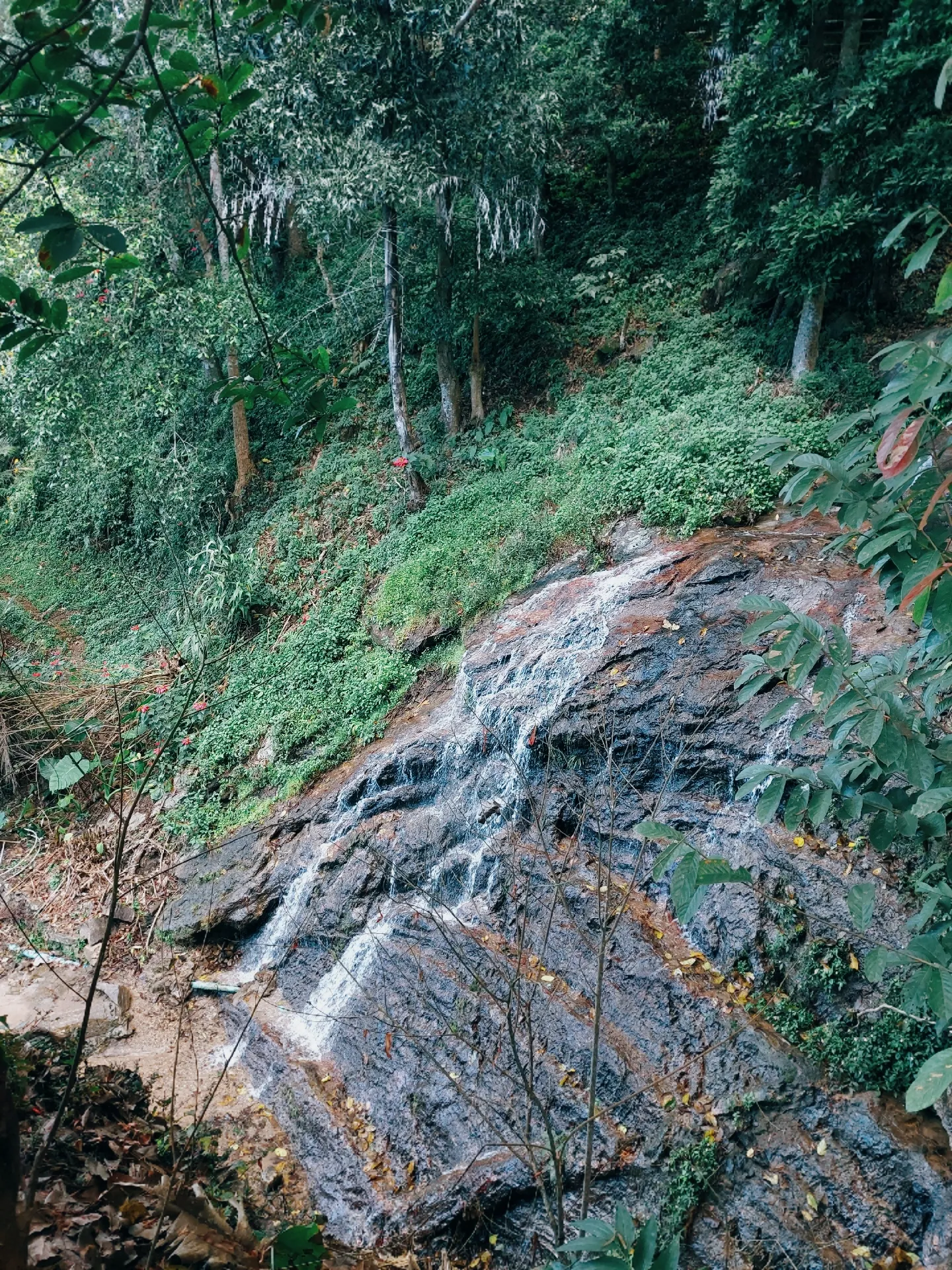 บ้านม้งดอยปุย | แกลเลอรีที่โพสต์โดย kay ko | Lemon8