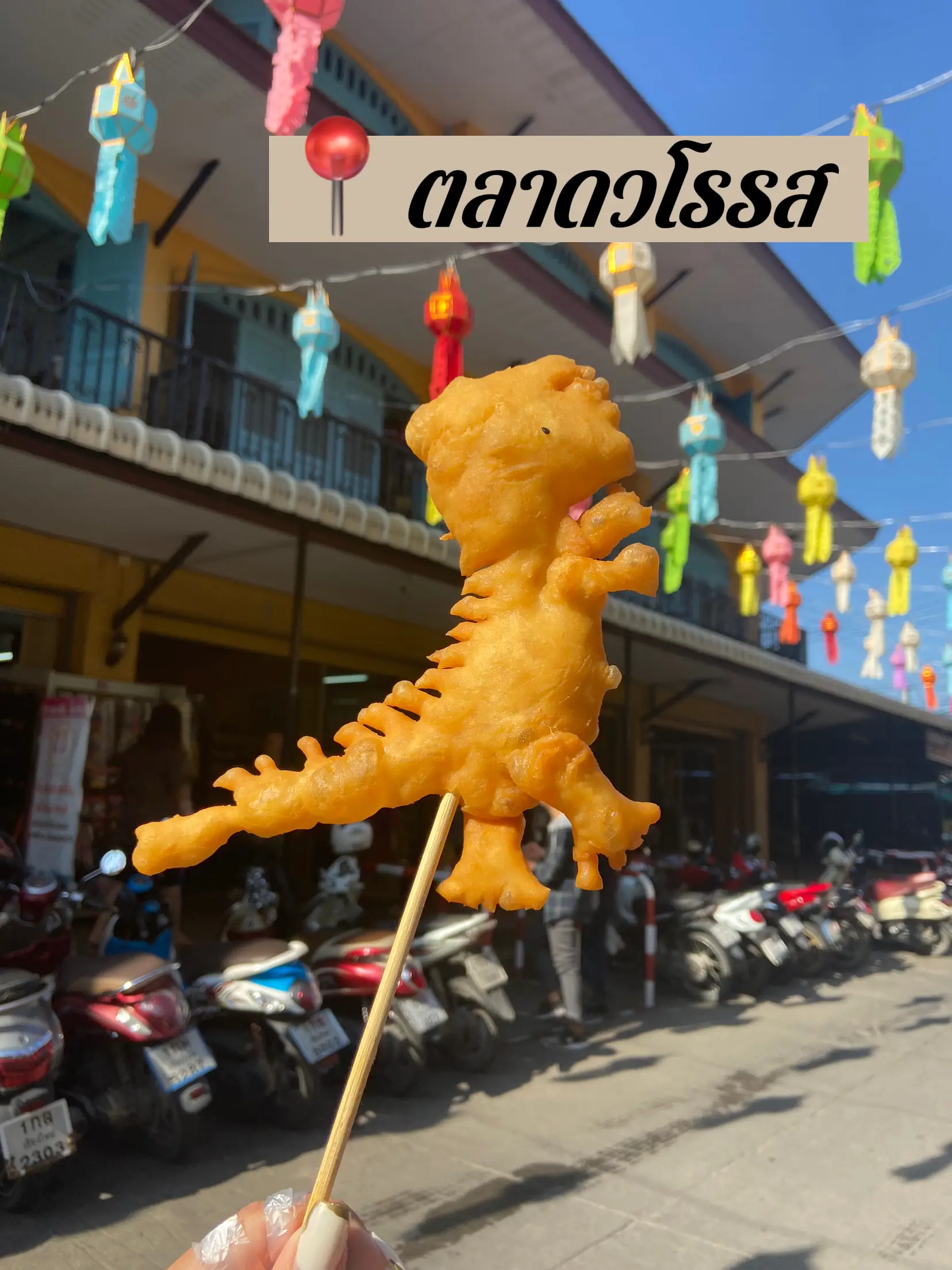 📍แจกพิกัดเที่ยวเชียงใหม่ครั้งแรก🚘 | แกลเลอรีที่โพสต์โดย Yuri.__. U | Lemon8