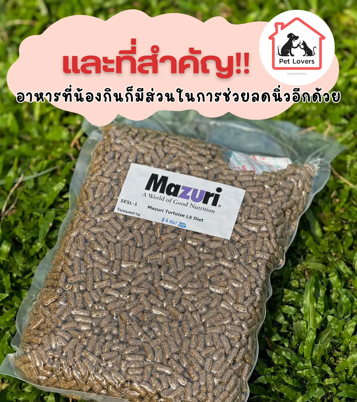 ยูริคเต่าคืออะไร? | แกลเลอรีที่โพสต์โดย Pet lovers | Lemon8