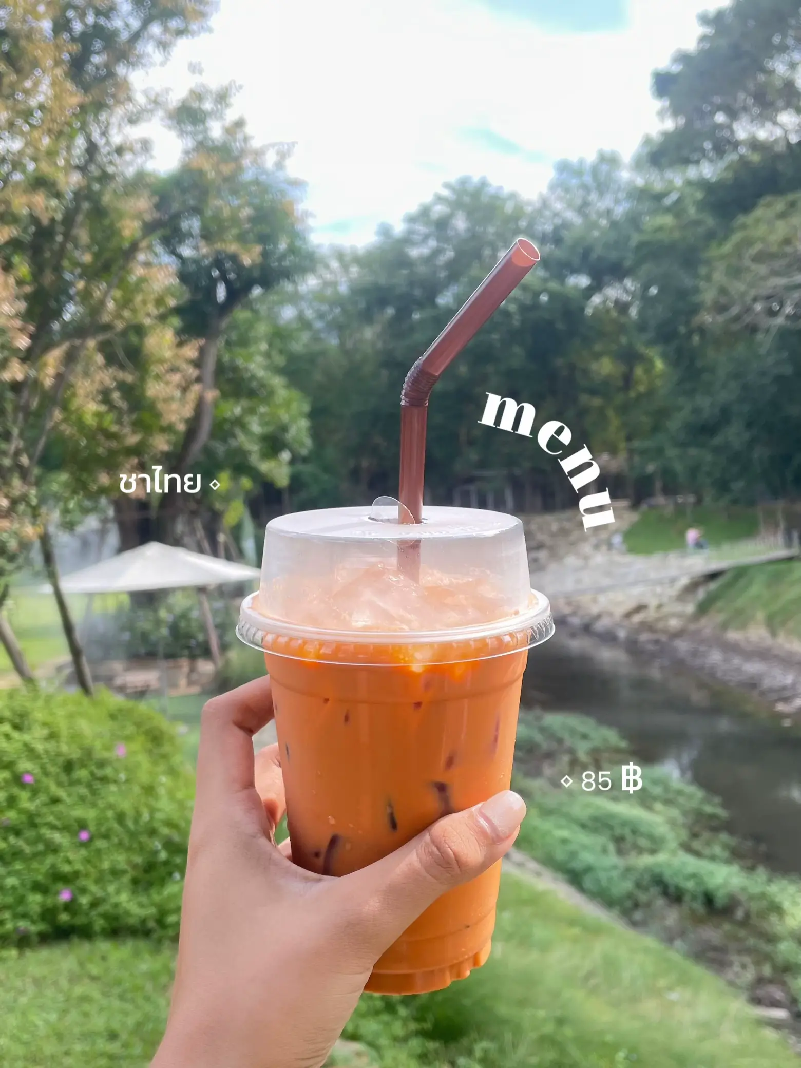 Montra cafe & นครนายก 🌳 | แกลเลอรีที่โพสต์โดย ฮาโย๋มายเฟนนน👋🏼 | Lemon8