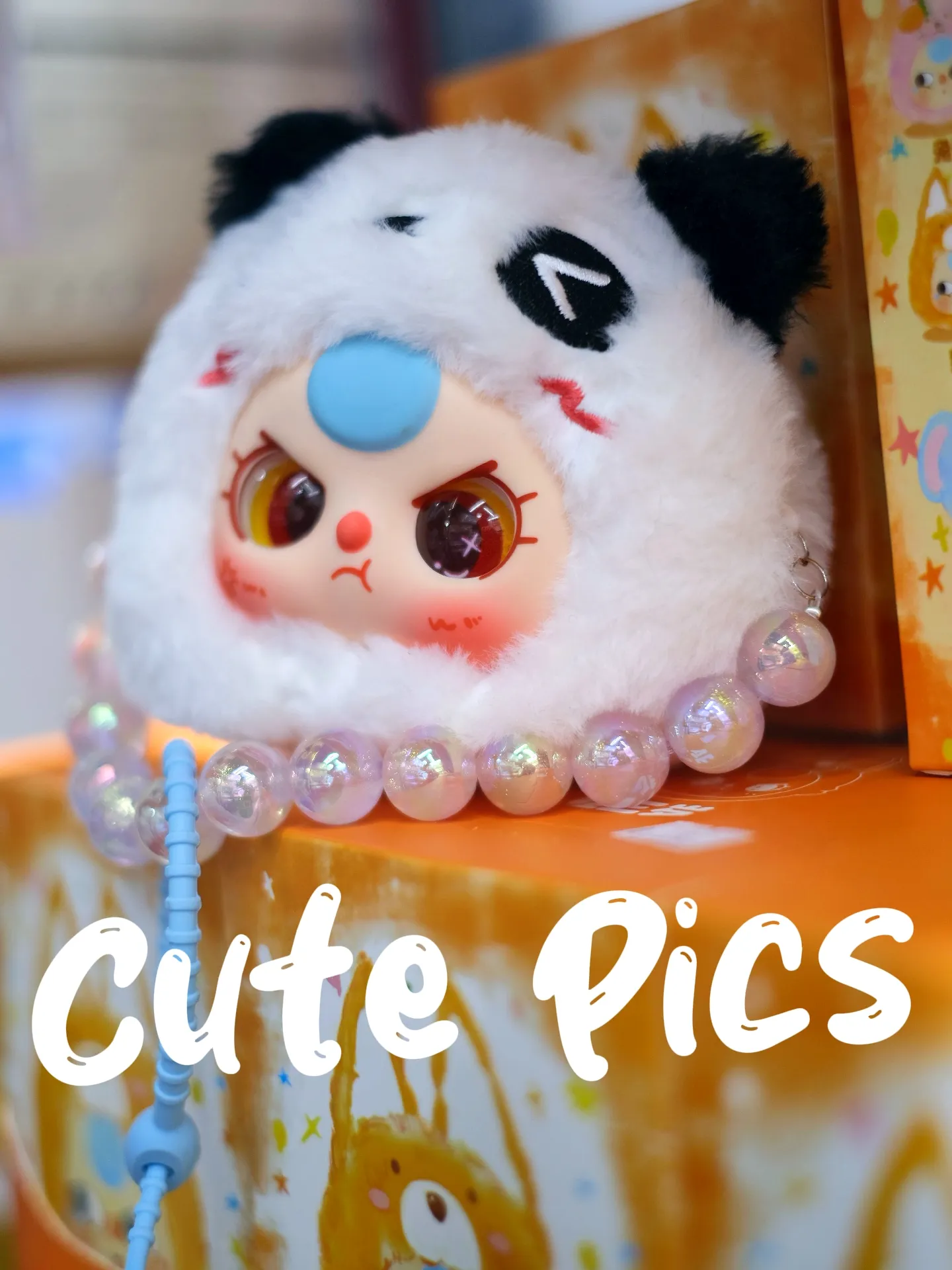 Baby Tree จุ่ม kitten แต่หน้าตาต่างจากเพื่อนนะ? | แกลเลอรีที่โพสต์โดย ...