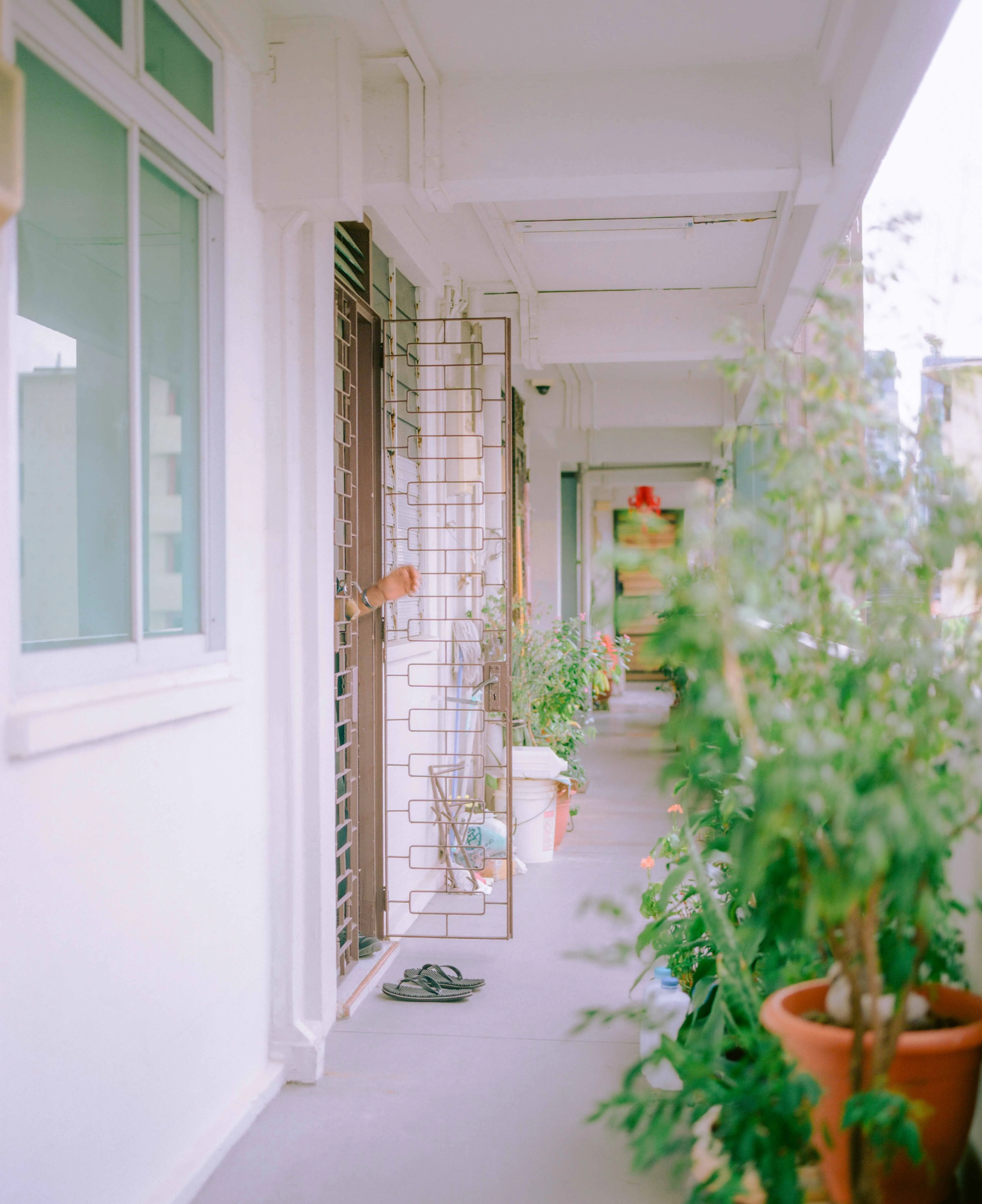 no catchy/clickbait title | just pure photos | Gallery posted by Moon | Lemon8