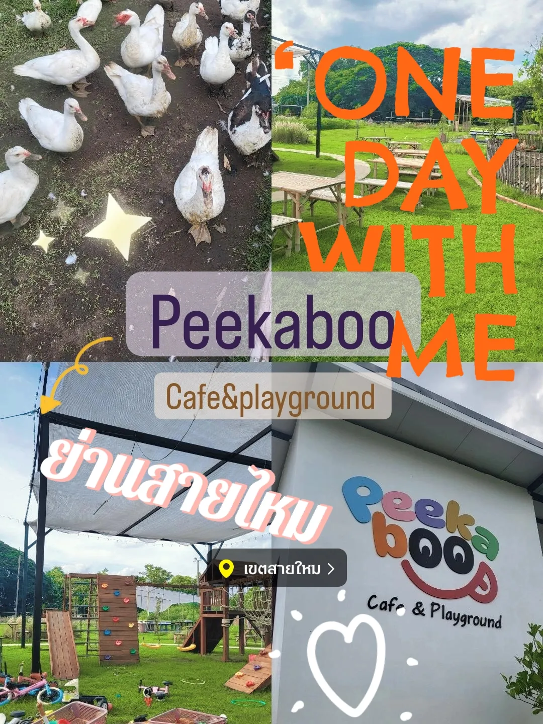 สายไหมมีอะไรดี | 2025 ประสบการณ์ผู้ใช้จริงบน Lemon8