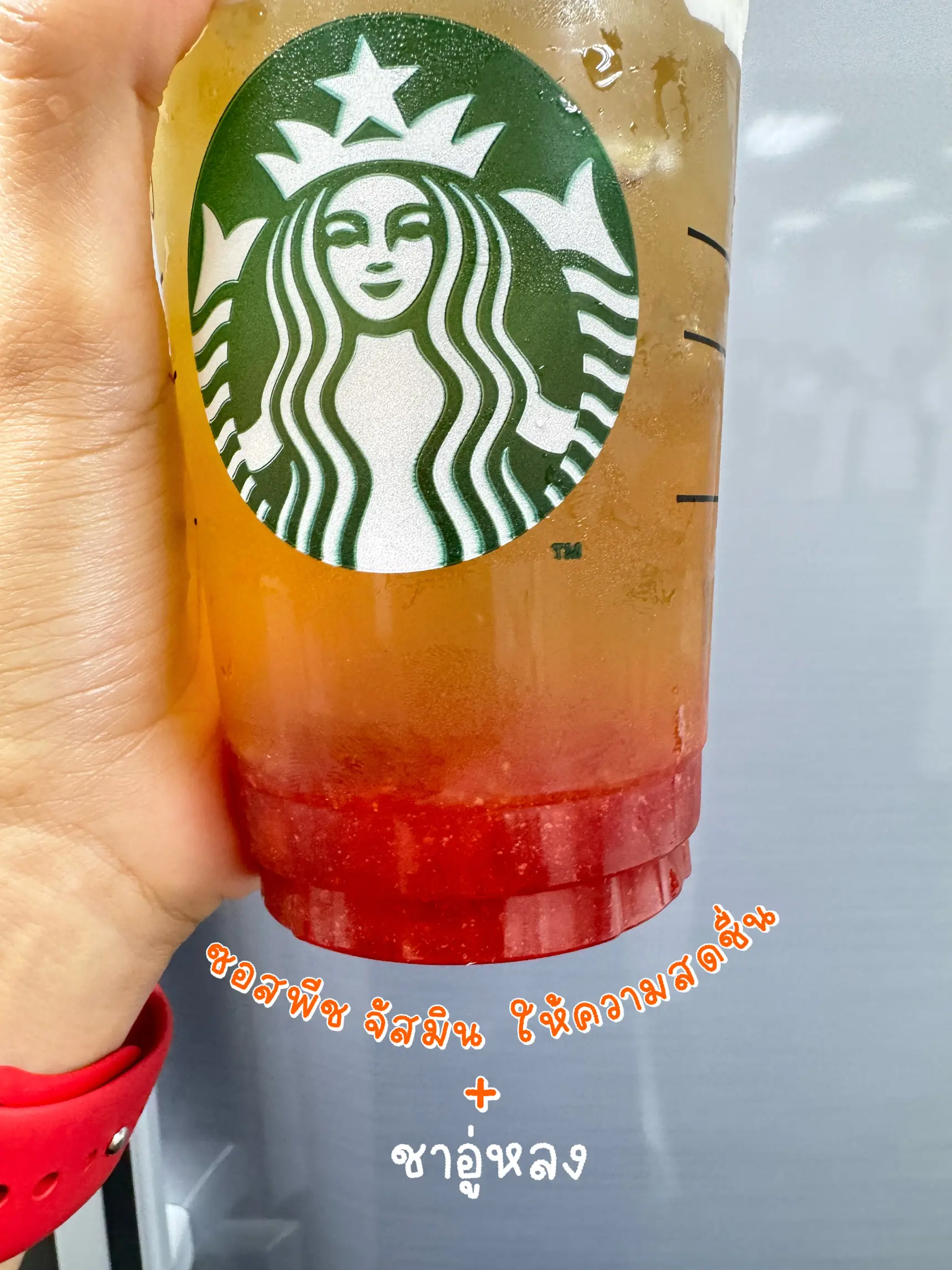 DRINK PUSHERS / Sparkling Tea ชาอู่หลง ซ่า สดชื่น🥶🫶🏻 | แกลเลอรีที่โพสต์ ...