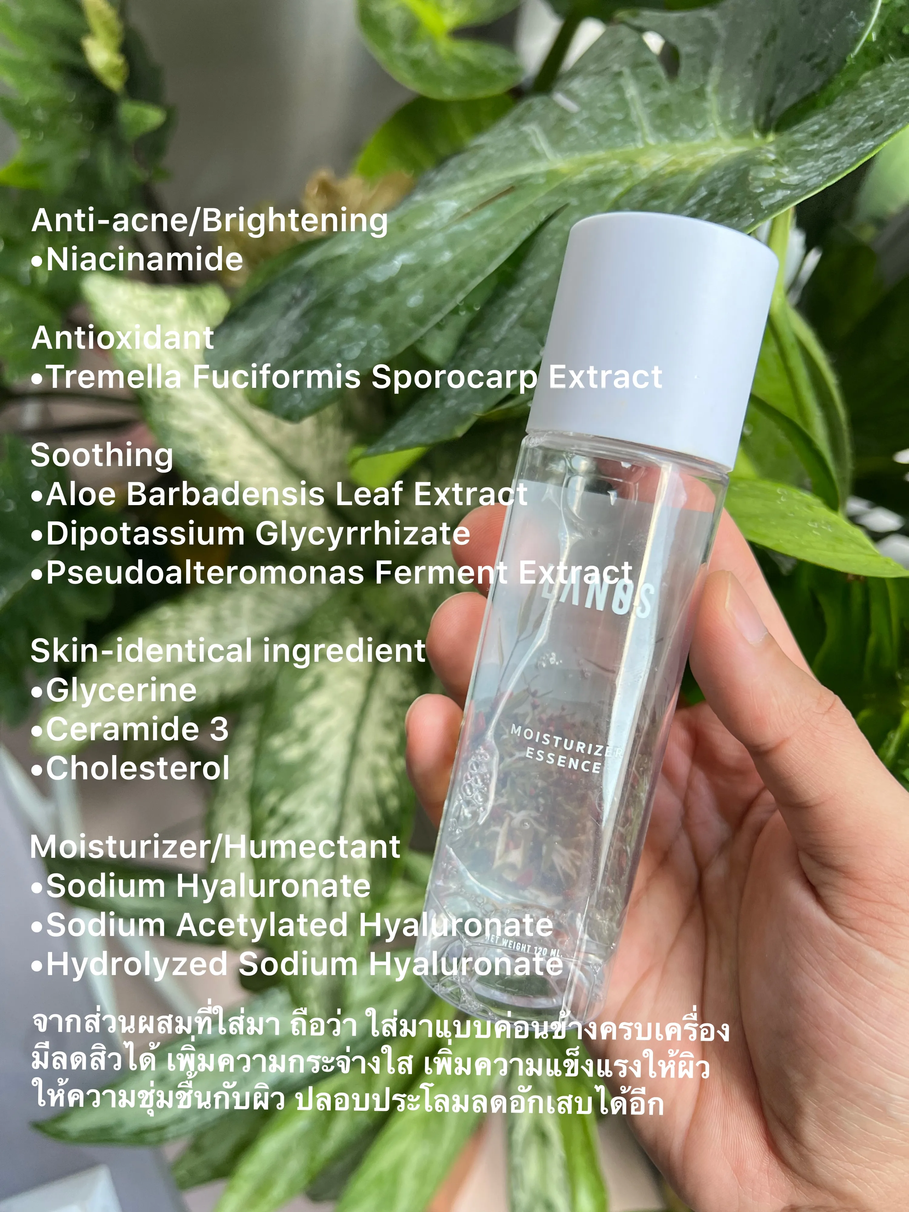 LANOS : Moisturizer Essence ตามกระแสดู | แกลเลอรีที่โพสต์โดย zobi | Lemon8