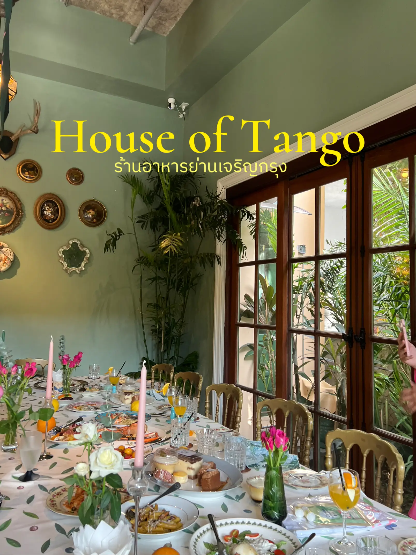 House of Tango จัดปาร์ตี้วันเกิดเพื่อนๆ 💖 | แกลเลอรีที่โพสต์โดย ...