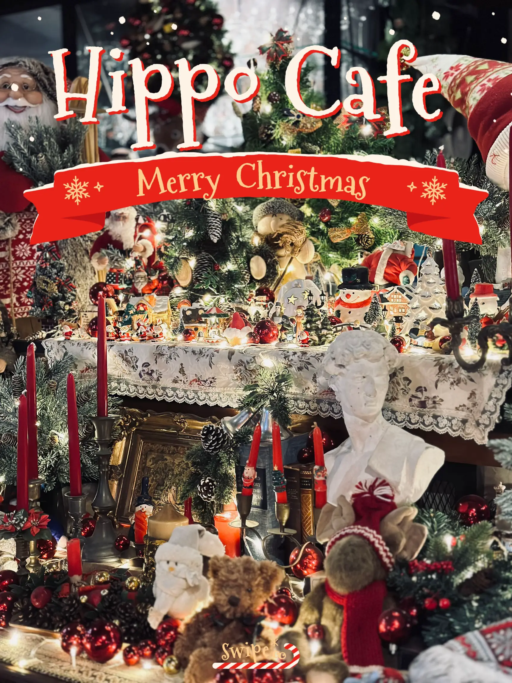 Hippo Cafe'&Restaurant | แกลเลอรีที่โพสต์โดย Mookhorm | Lemon8