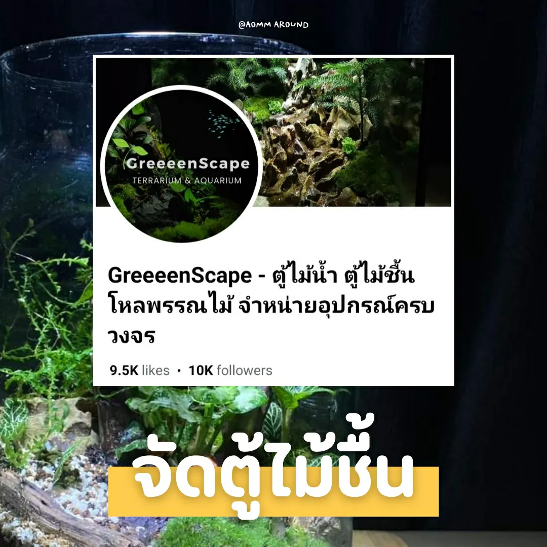 ชวนสร้างงานศิลป์! ฉบับคนหัวหินแนะนำเอง | แกลเลอรีที่โพสต์โดย AOMM AROUND | Lemon8