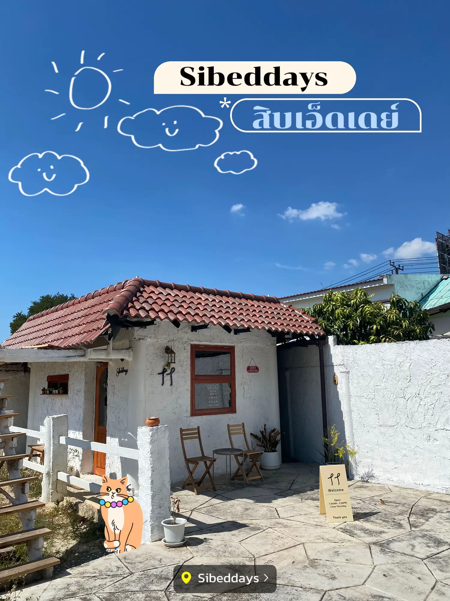 Sibeddays - สิบเอ็ดเดย์🙆🏻‍♀️☘️ | แกลเลอรีที่โพสต์โดย pareem💖 | Lemon8