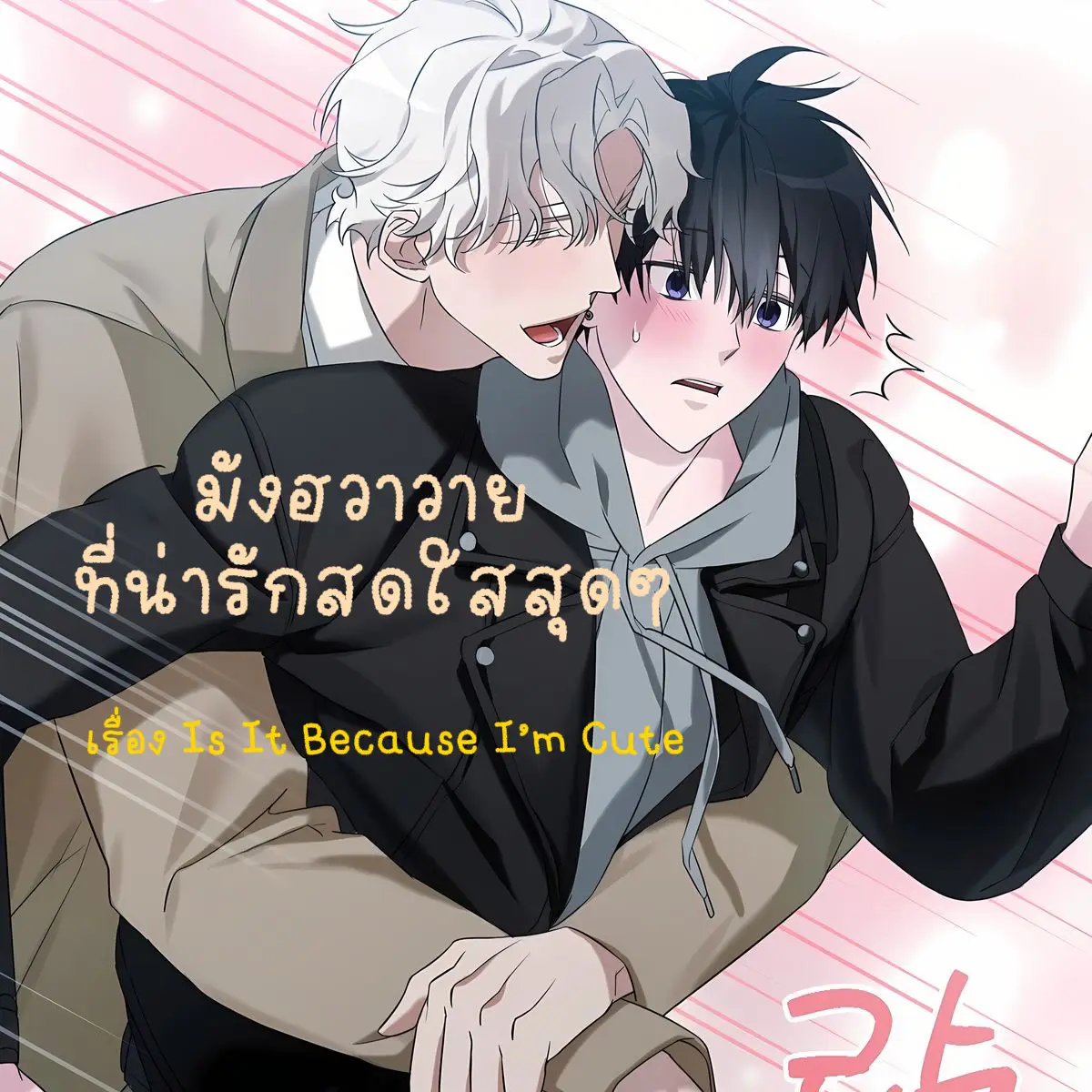 มังฮวาวาย ที่น่ารักสดใสสุดๆ | แกลเลอรีที่โพสต์โดย Praw | Lemon8