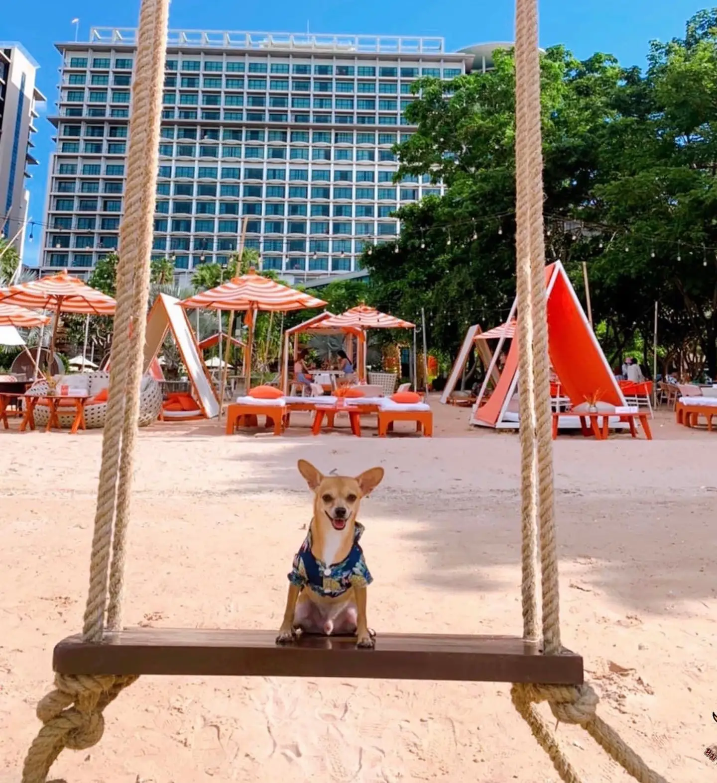 The Zign Hotel & The Zign Premium Villa | แกลเลอรีที่โพสต์โดย หมานำโชค ...