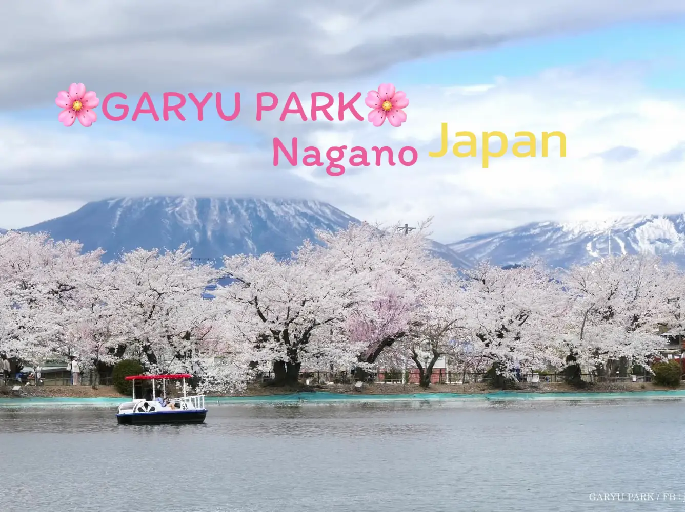 Japan | แกลเลอรีที่โพสต์โดย Go with Ko | Lemon8