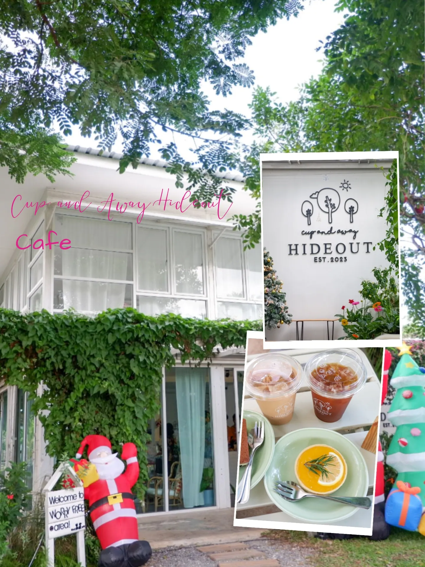 Cup and Away Hideout | แกลเลอรีที่โพสต์โดย ilada | Lemon8