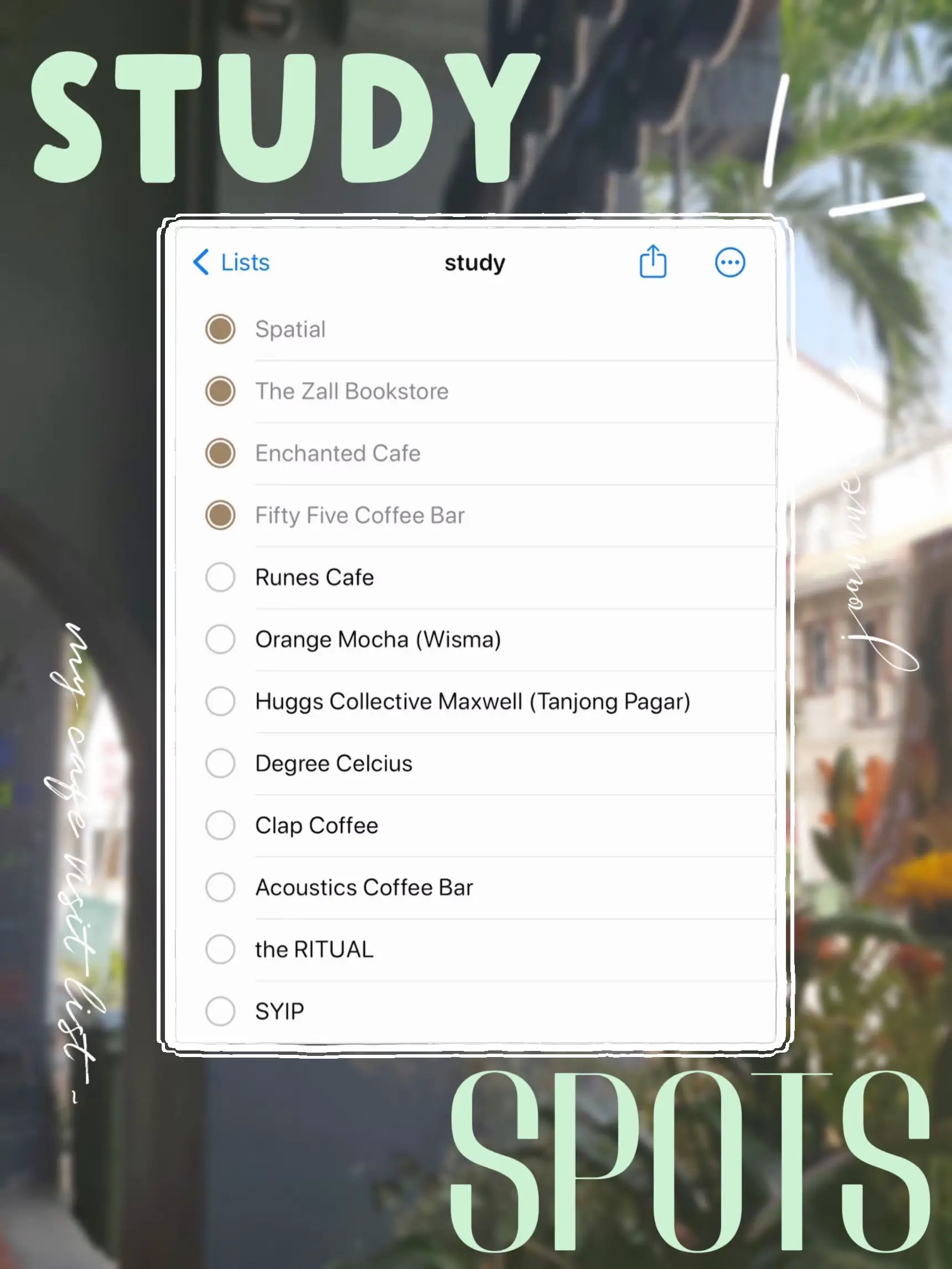 Recommend me MORE study spots/cafes in sg 😚🫶🏻📖 | Gallery posted by joanne | Lemon8