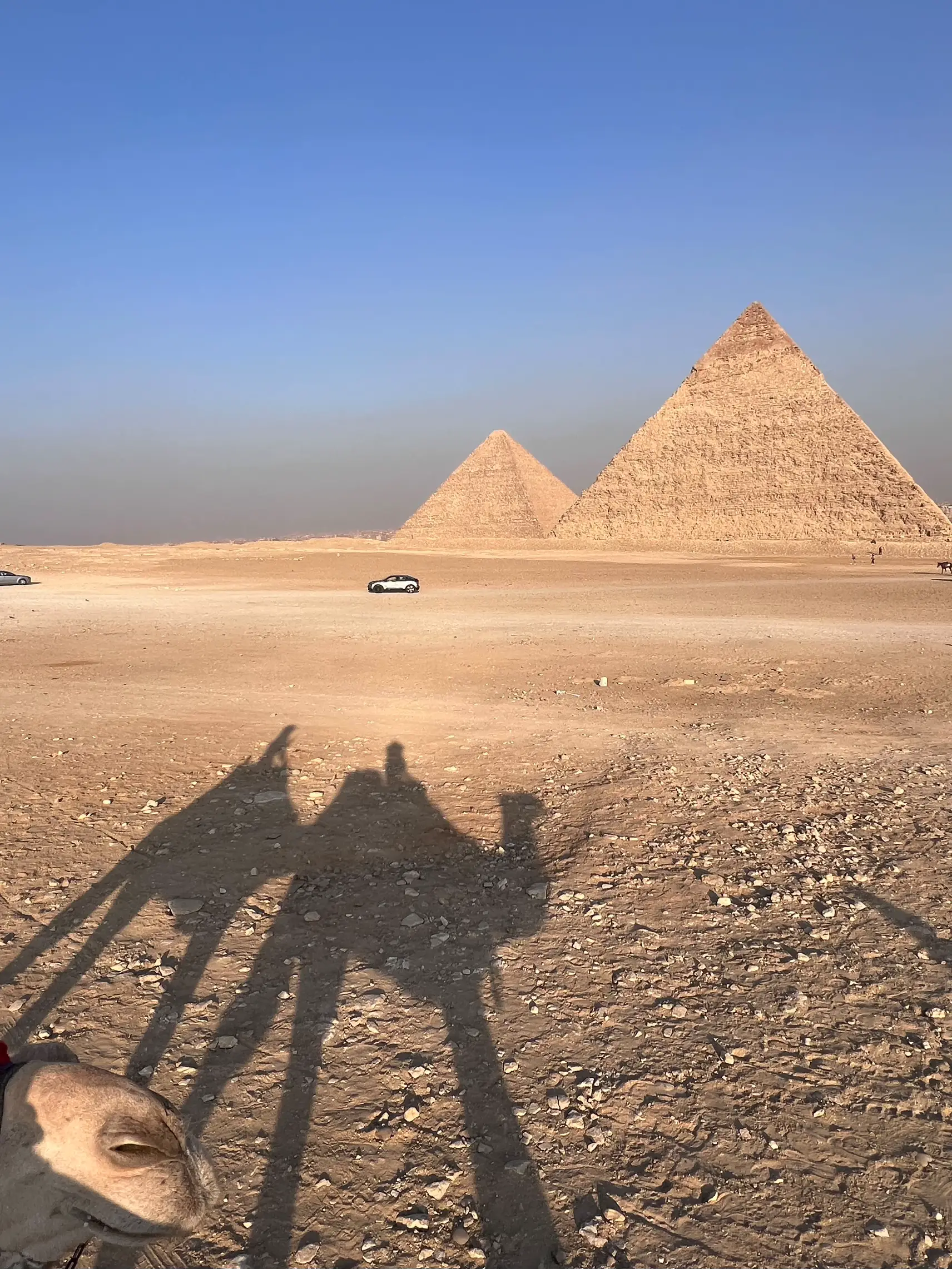 ไปเที่ยวอียิปต์กัน | แกลเลอรีที่โพสต์โดย Aumm Aumm | Lemon8