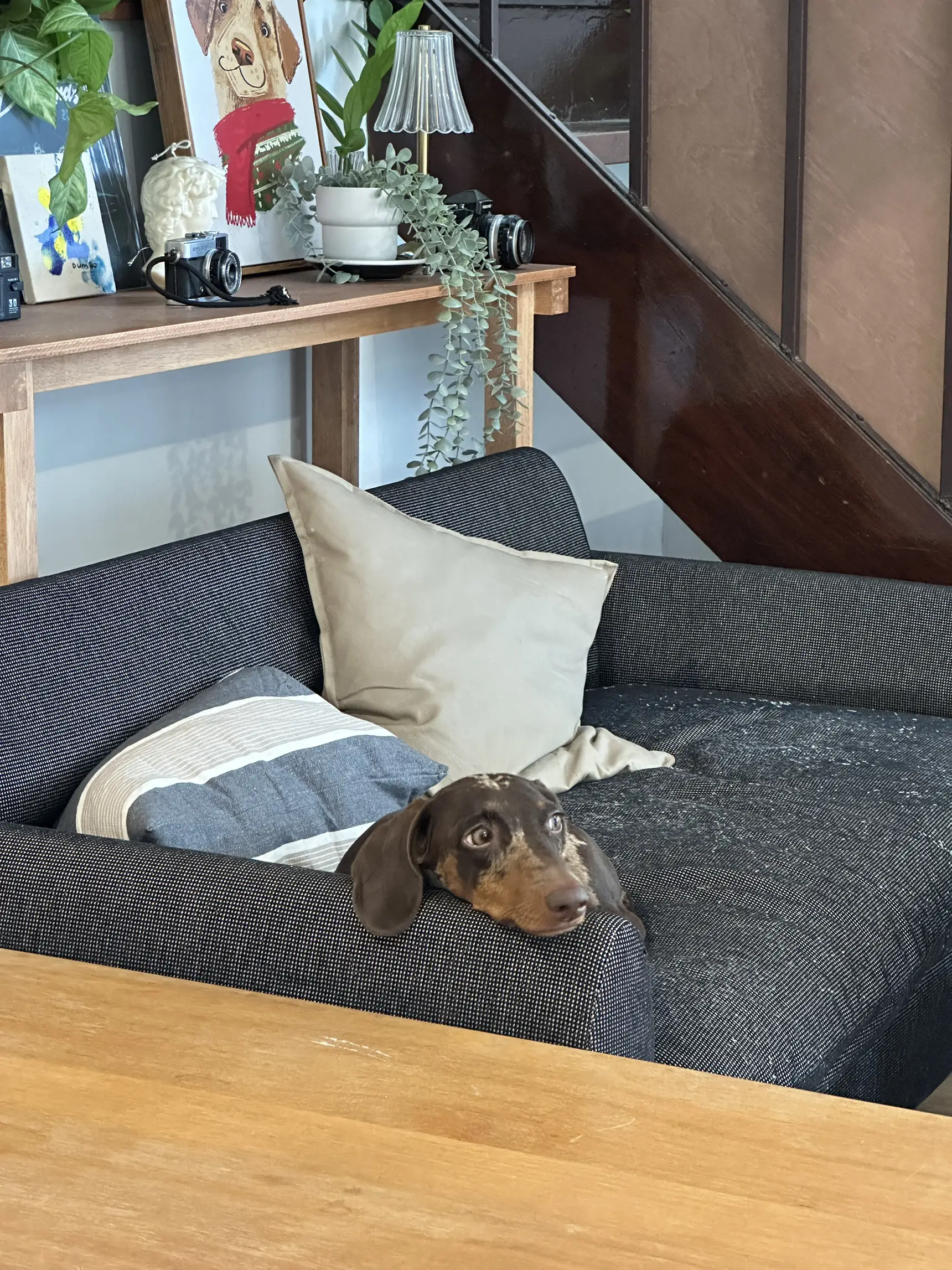 SUMM* coffee & studio | แกลเลอรีที่โพสต์โดย Patcha | Lemon8