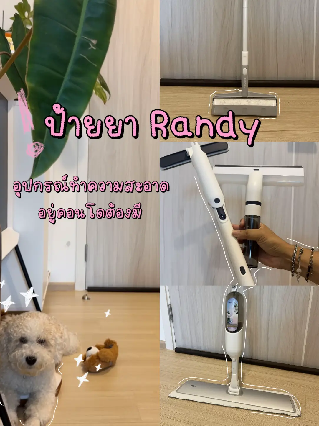 ป้ายยา Randy อุปกรณ์ทำความสะอาด ตอบโจทย์คนอยู่คอนโด | แกลเลอรีที่โพสต์ ...