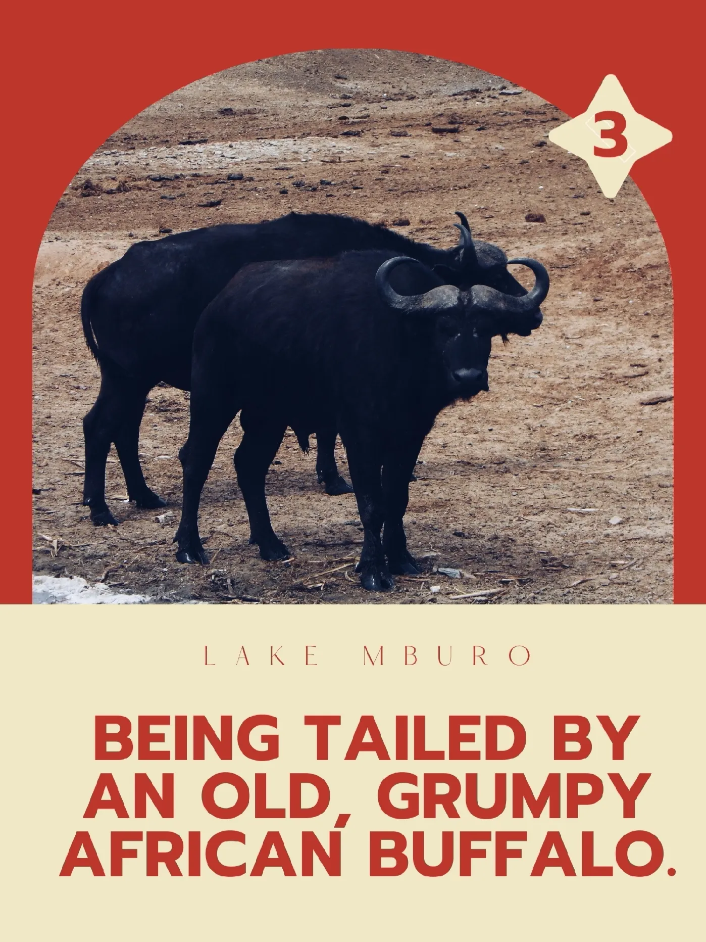 WARNING: It Takes A Lifetime To Get Over Uganda 🇺🇬 | Gallery posted by ...