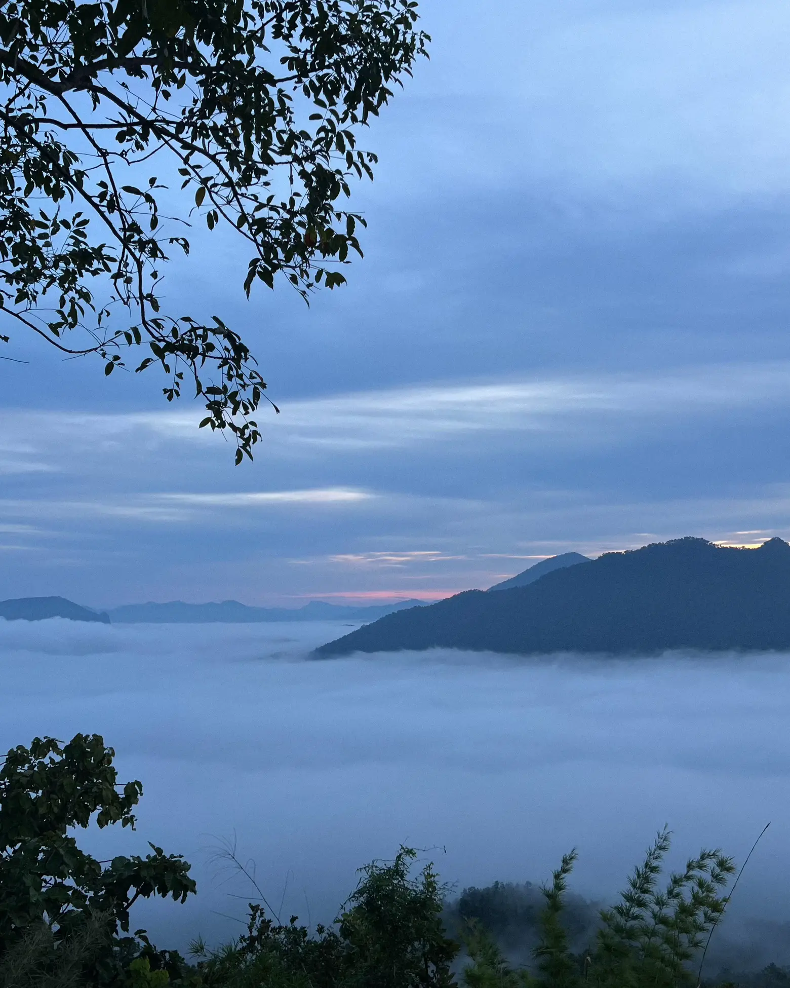 Phu thok เชียงคาน 🌄⛰️ | แกลเลอรีที่โพสต์โดย Sharegoodthing | Lemon8