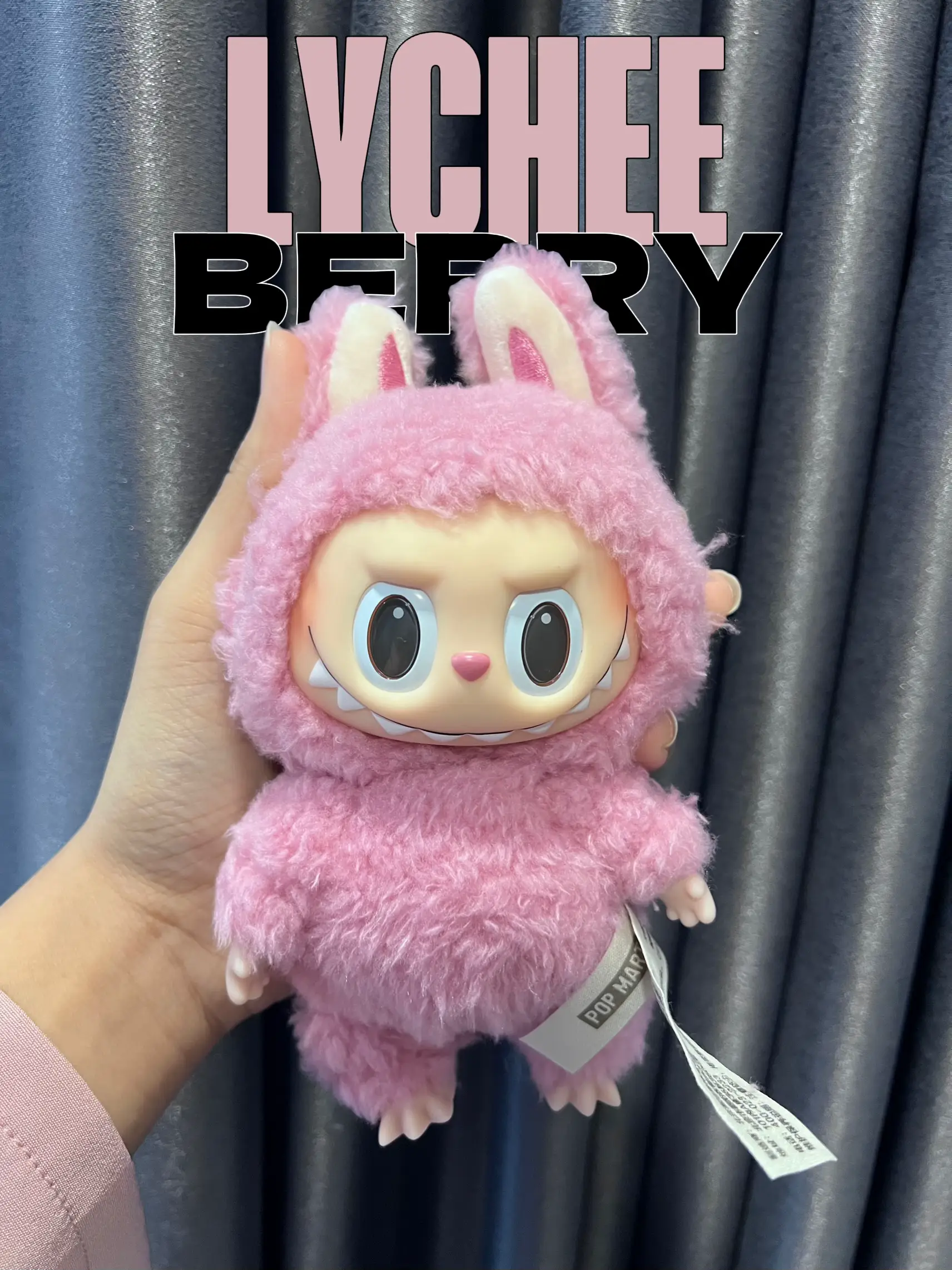 Labubu macaron Lychee Berry 🩷 | แกลเลอรีที่โพสต์โดย รีวิวตามใจฉัน🩷 | Lemon8