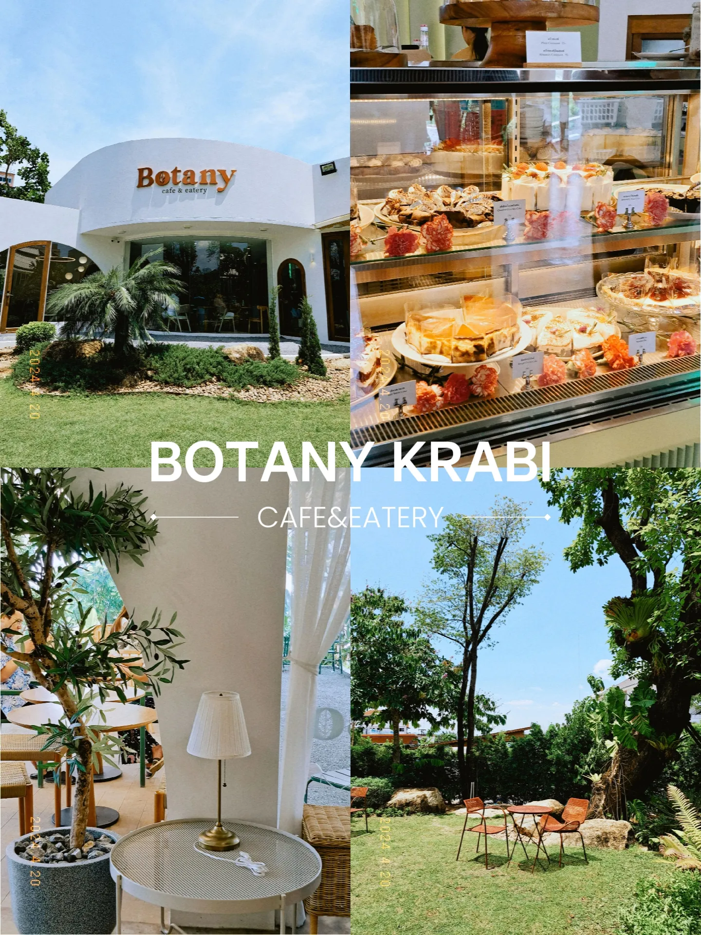 📌BOTANY CAFE&EATERY KRABI คาเฟ่สวนกลางเมืองกระบี่ | แกลเลอรีที่โพสต์โดย ...