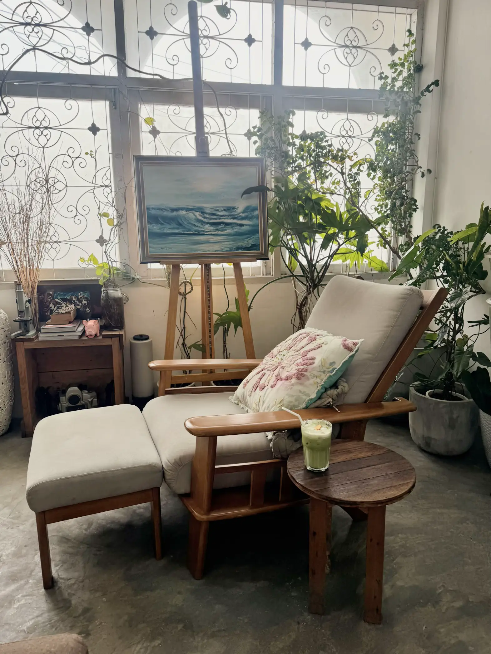 Masonia tree&coffee cafe☕️🪴คาเฟ่ของคนรักต้นไม้ ตลาดพลู | แกลเลอรีที่ ...