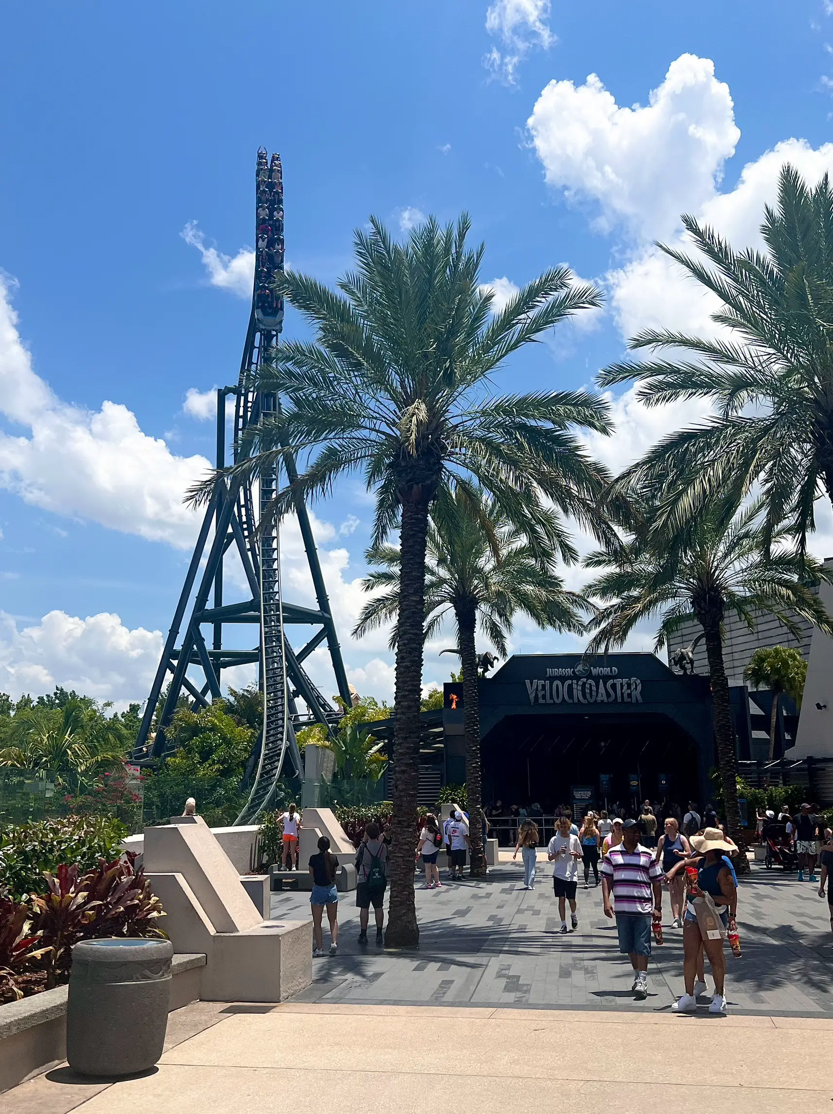 Florida vacation photos - การค้นหาใน Lemon8