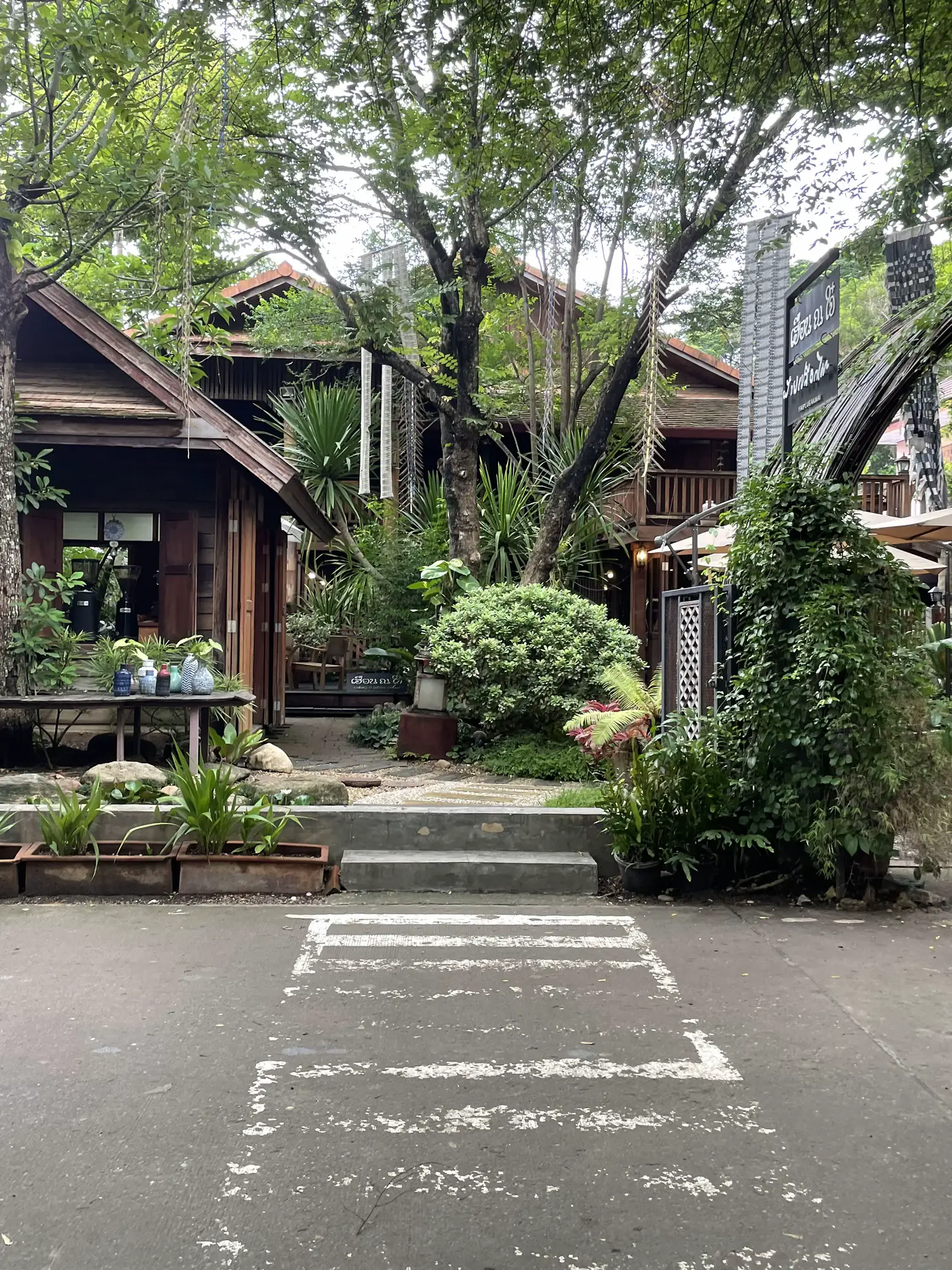 🌳Chamcha market in Chiang Mai🌿 | แกลเลอรีที่โพสต์โดย Phuwxdon | Lemon8