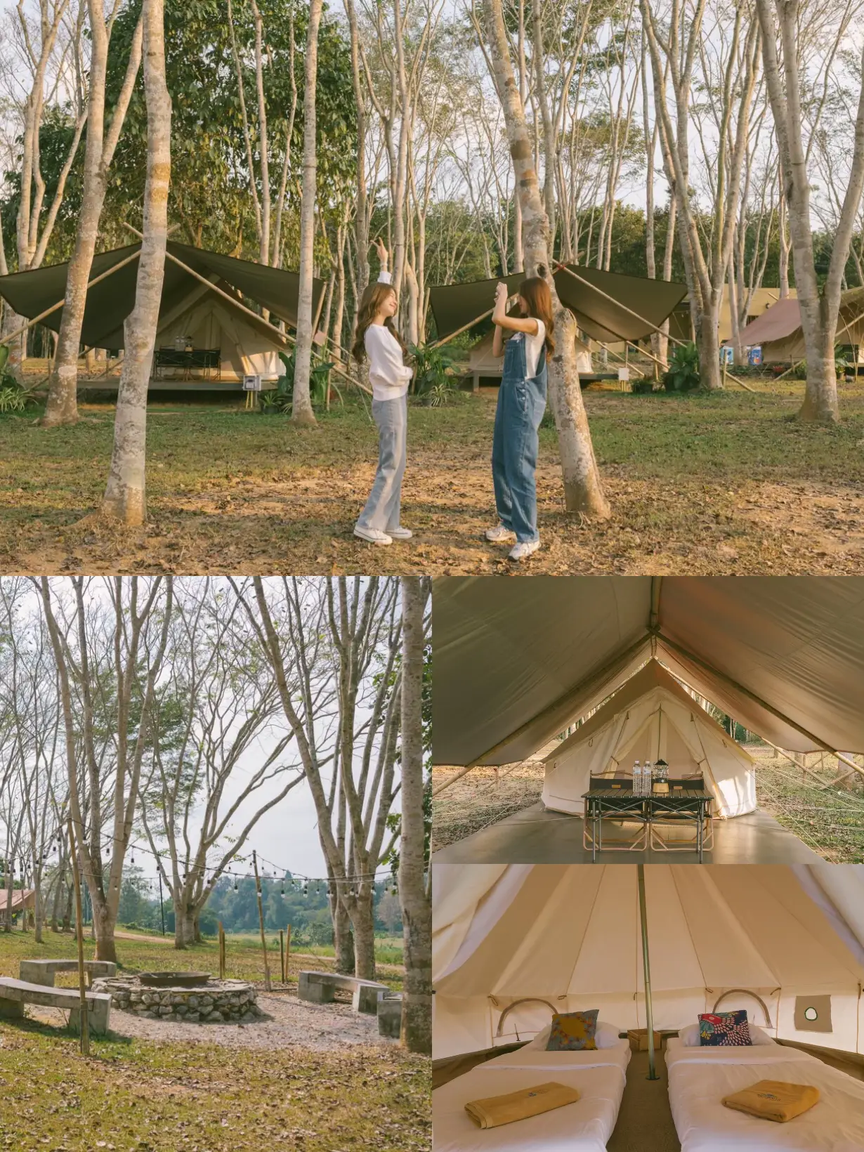 สิ้นปีนี้มารับลมหนาวกับบรรยากาศดี ๆ ️💐 | แกลเลอรีที่โพสต์โดย lbzero | Lemon8