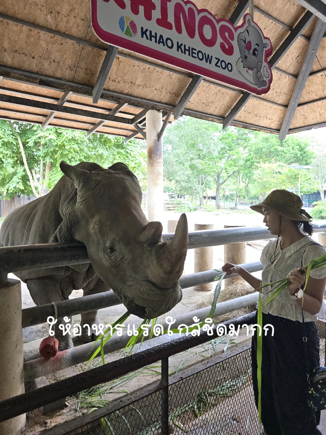 รัวิวเที่ยวสวนสัตว์เปิดเขาเขียว ปี 2024 | แกลเลอรีที่โพสต์โดย Chaaim | Lemon8