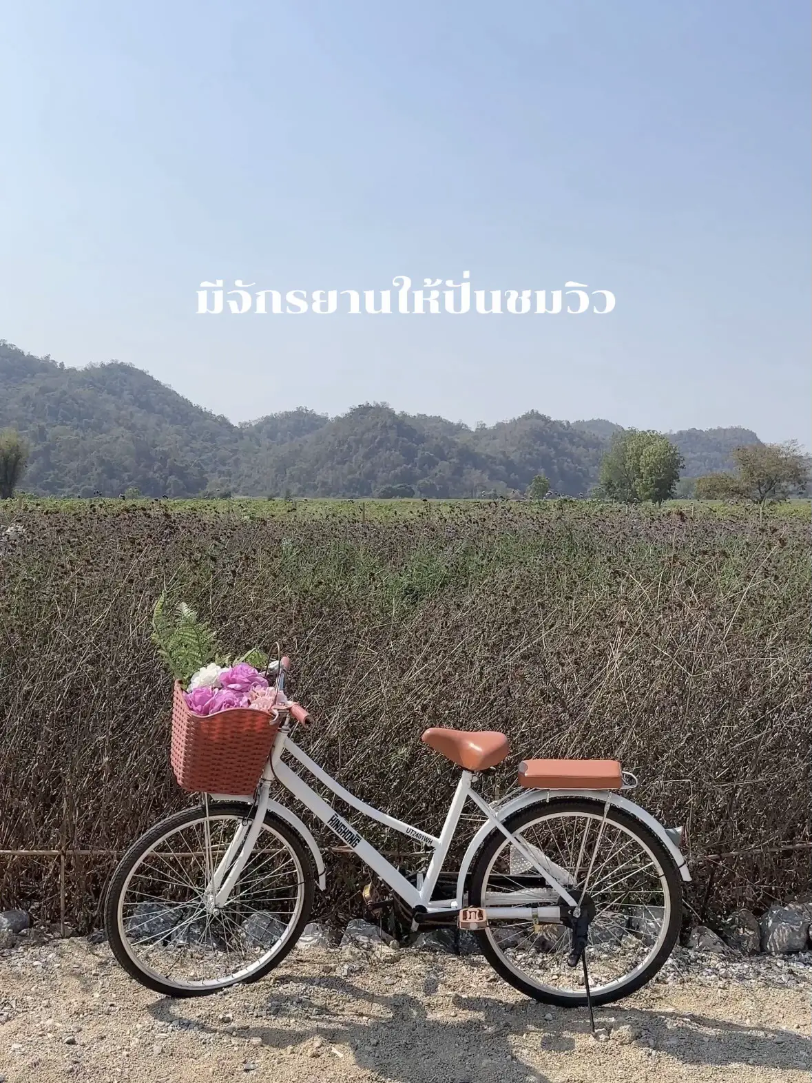 Audrey hobby farm สวยจริงไหม 💖💐 | แกลเลอรีที่โพสต์โดย Looknut story | Lemon8