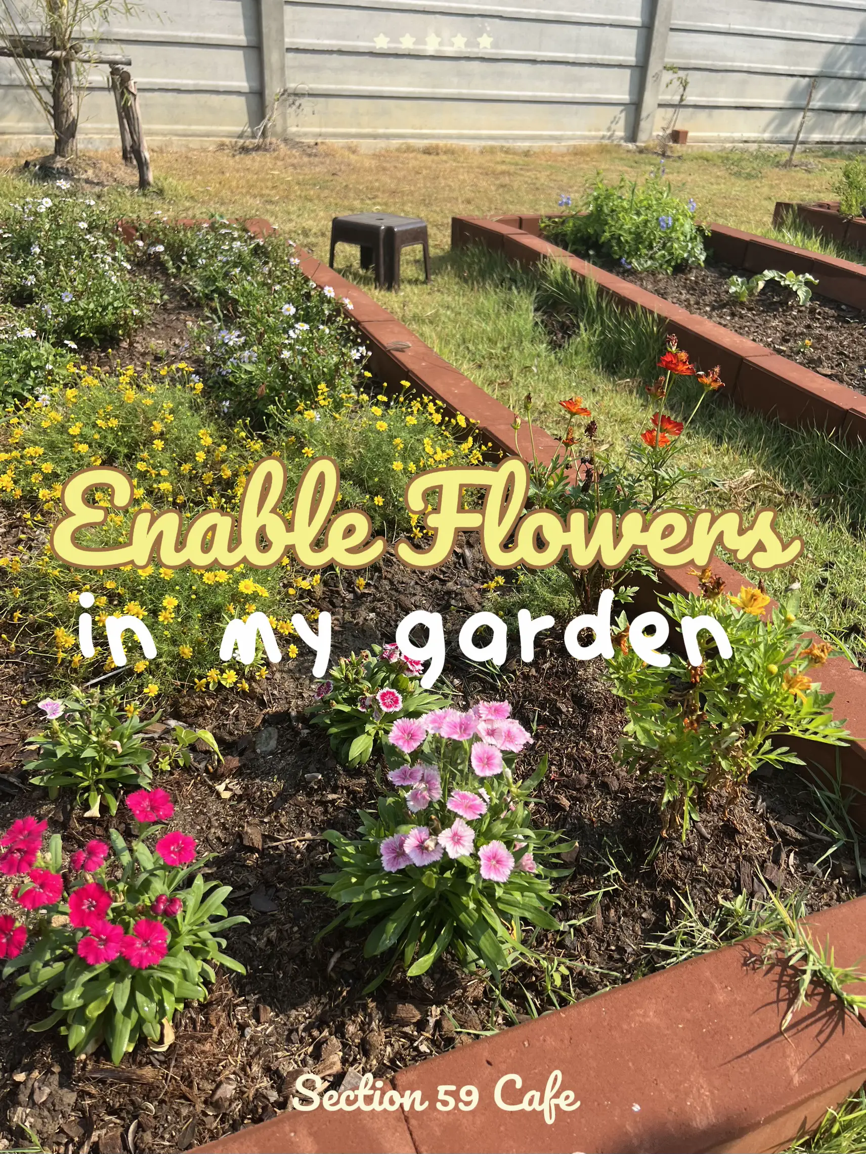 Enable flowers In my Garden มาถ่ายรูปได้ที่คาเฟ่นะคะ🌻 | แกลเลอรีที่โพสต์โดย Section 59 | Lemon8