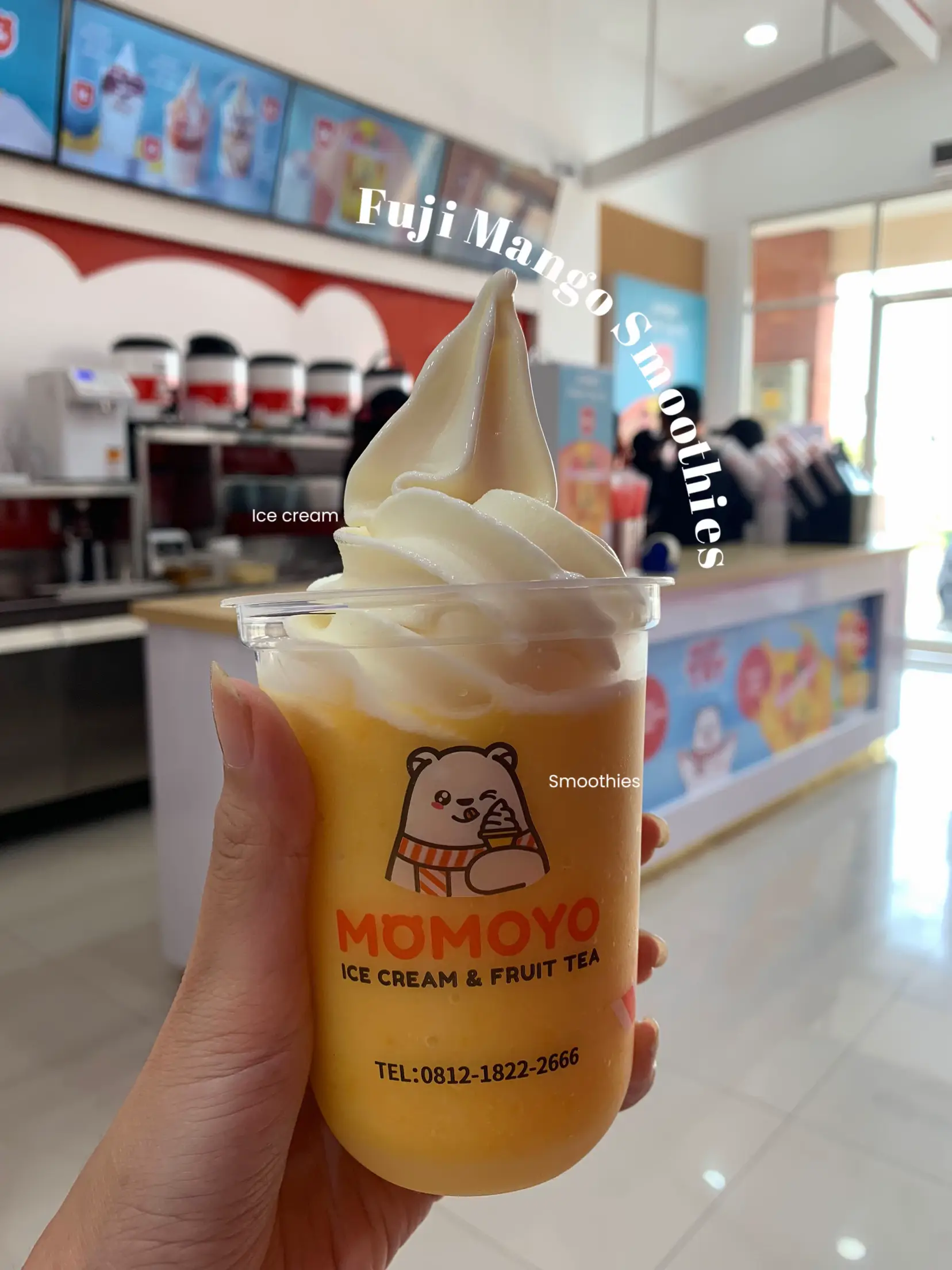 Rekomendasi momoyo - Pencarian Lemon8