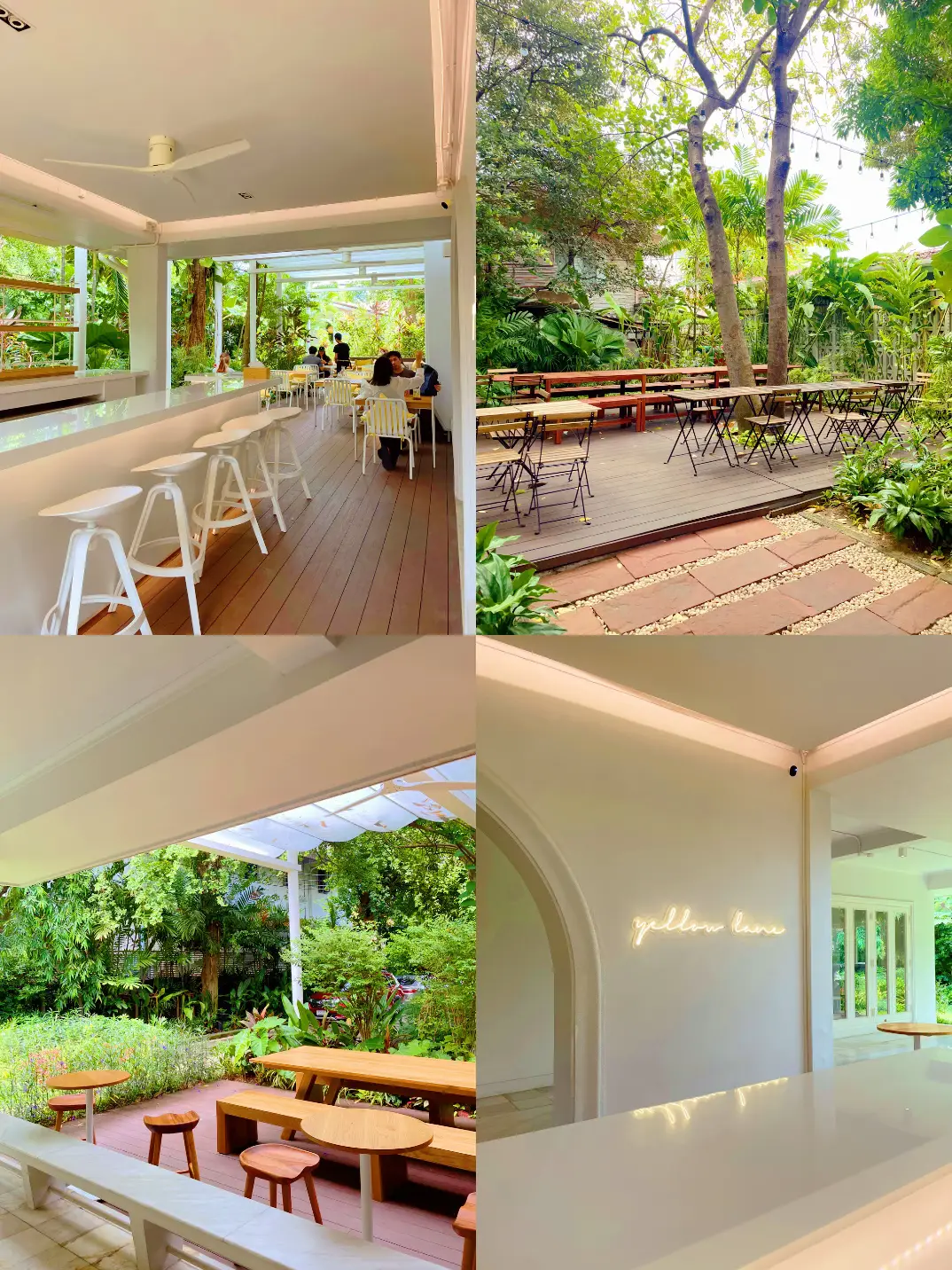 Yellow Lane | Ari | แกลเลอรีที่โพสต์โดย Ferttii Piqué | Lemon8