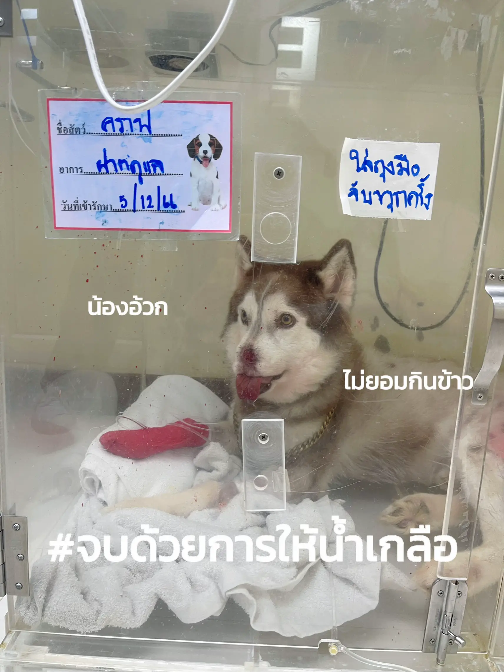 EP.3 | แกลเลอรีที่โพสต์โดย Pueng | Lemon8