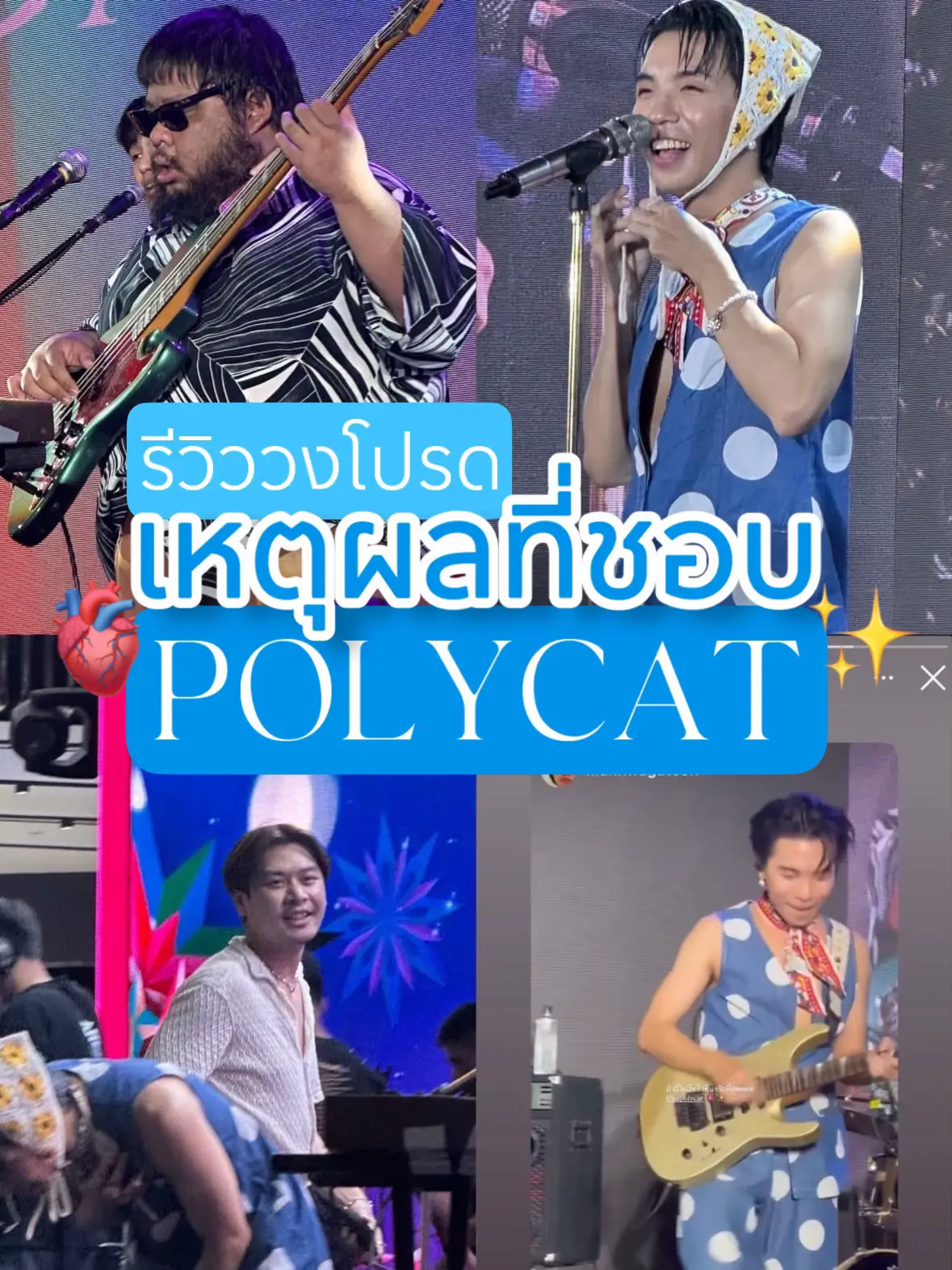 รีวิววงโปรด + เหตุผลที่ชอบ POLYCAT🫀 | แกลเลอรีที่โพสต์โดย gatothetoon 📚 | Lemon8