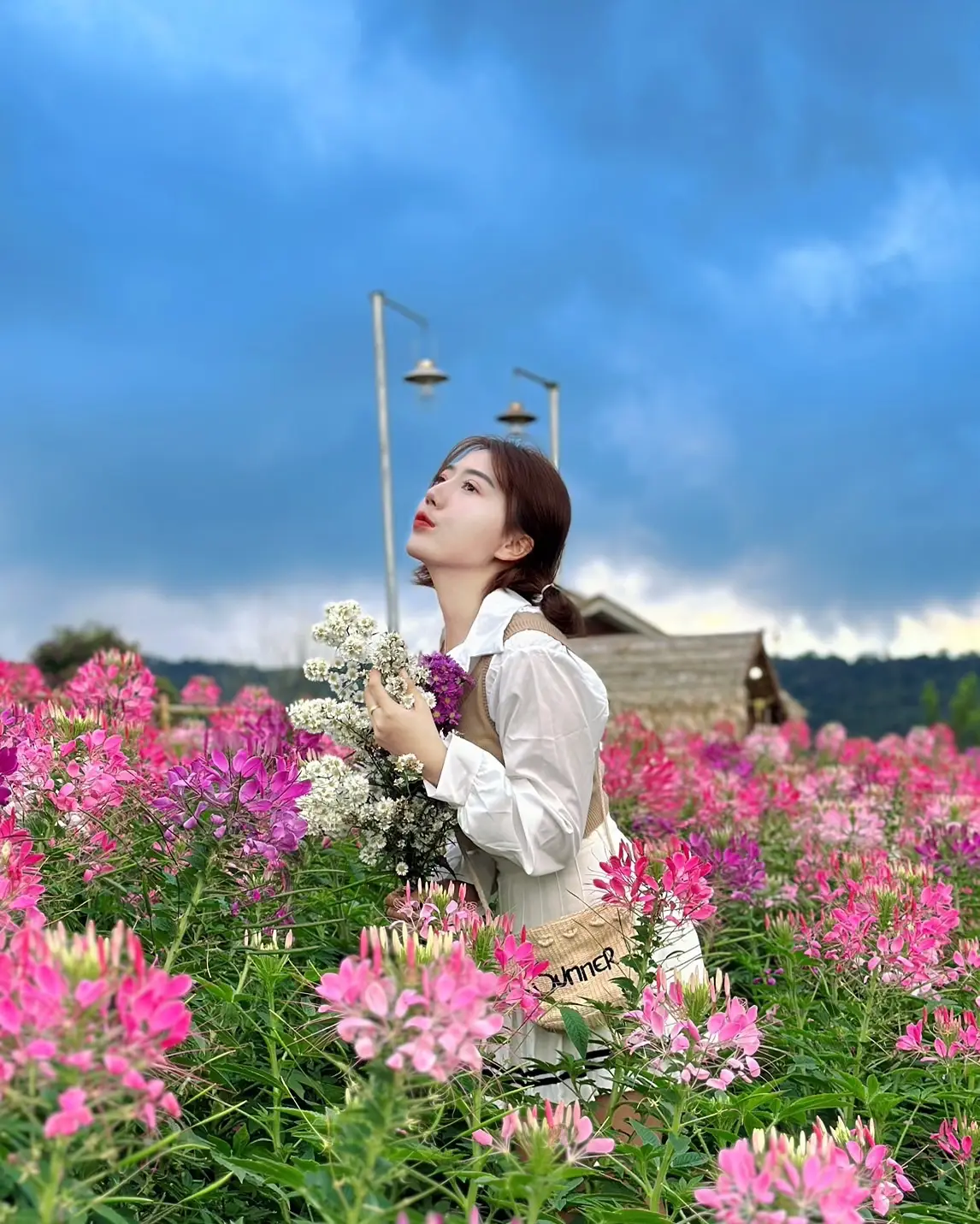 บ้านร่องกล้า-ภูลมโล | แกลเลอรีที่โพสต์โดย Wasana L | Lemon8