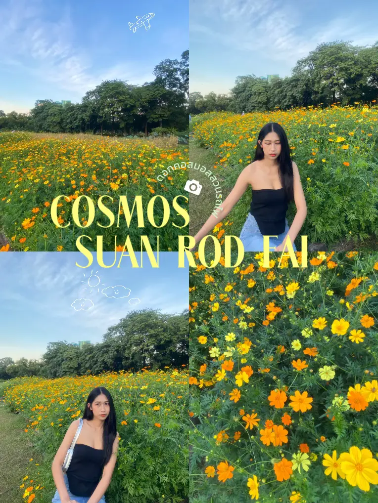 SUAN ROD FAI | แกลเลอรีที่โพสต์โดย มากมาย | Lemon8