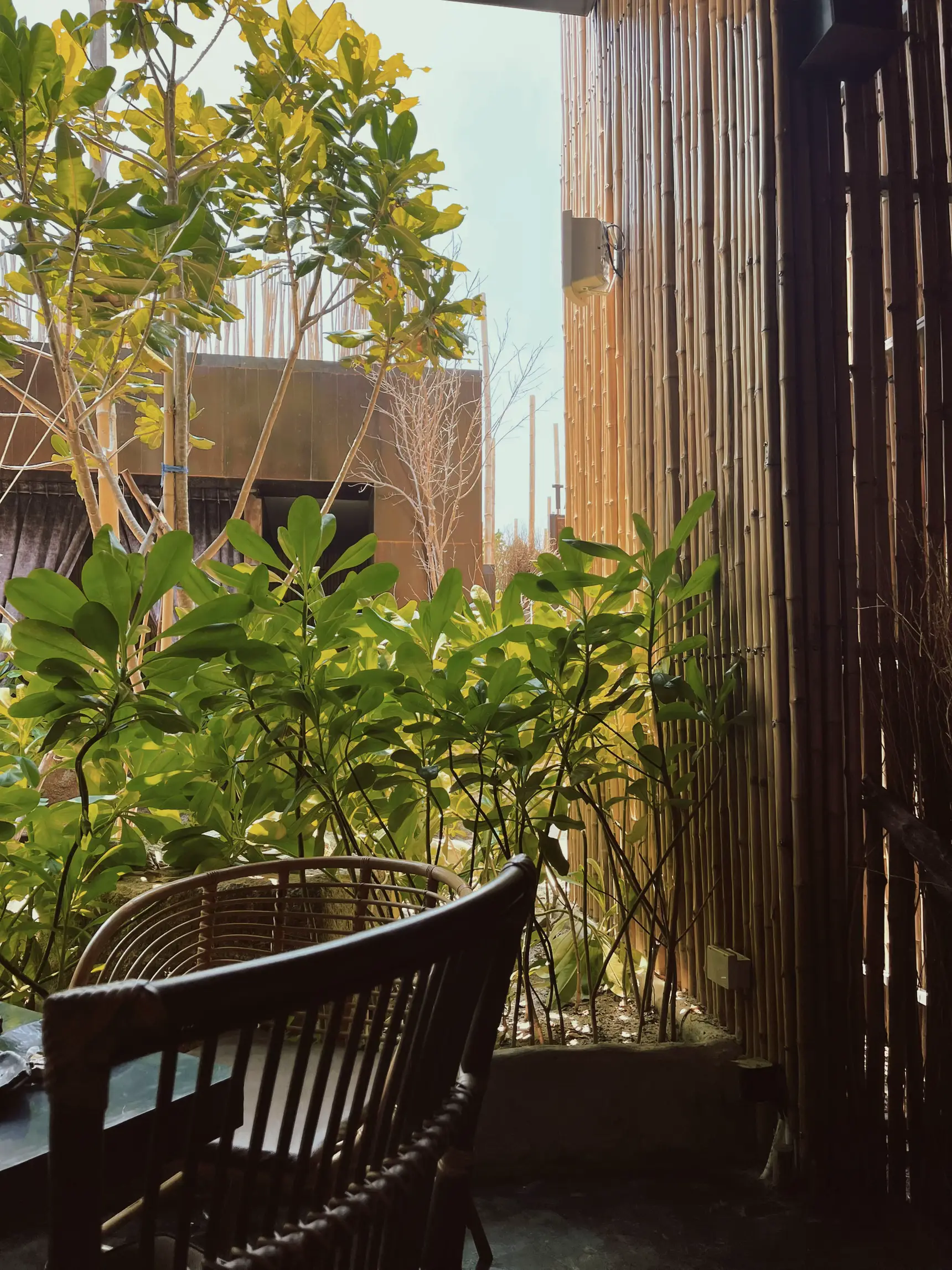 TAAB Cafe’ คาเฟ่อ่างศิลา | แกลเลอรีที่โพสต์โดย Miew | Lemon8