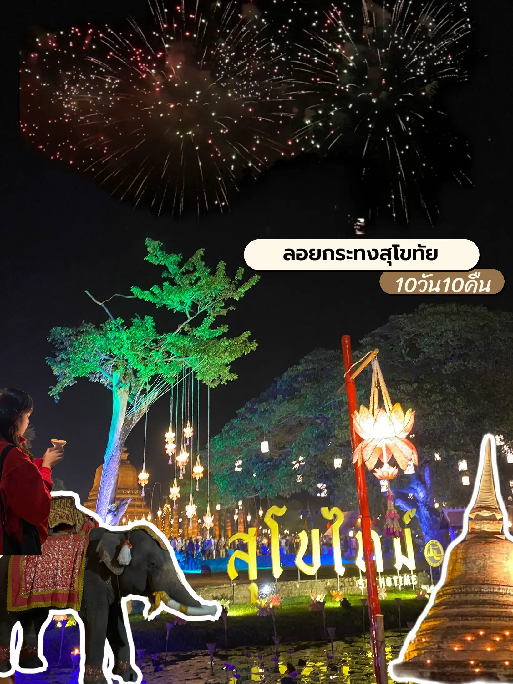 งานประเพณีลอยกระทง เผาเทียน เล่นไฟ สุโขทัย แกลเลอรีที่โพสต์โดย