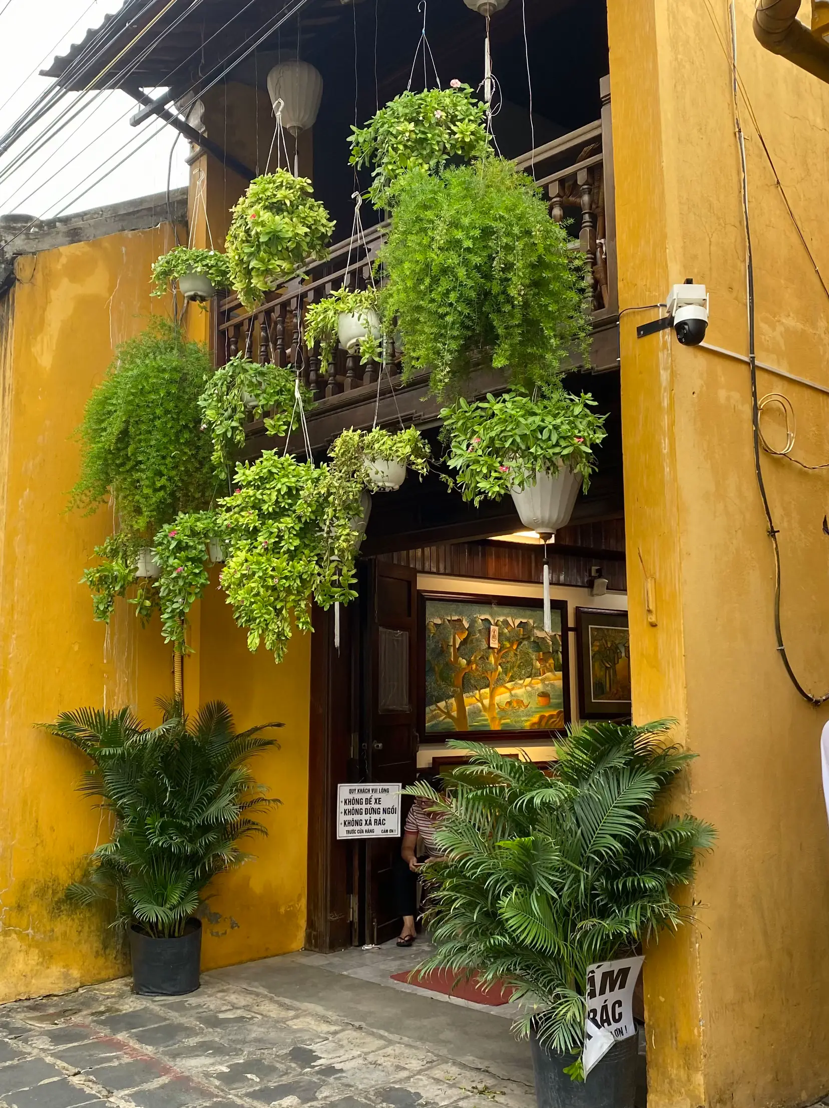 Hoi An (เมืองมรดกโลก 🇻🇳) | แกลเลอรีที่โพสต์โดย Tanoy. | Lemon8