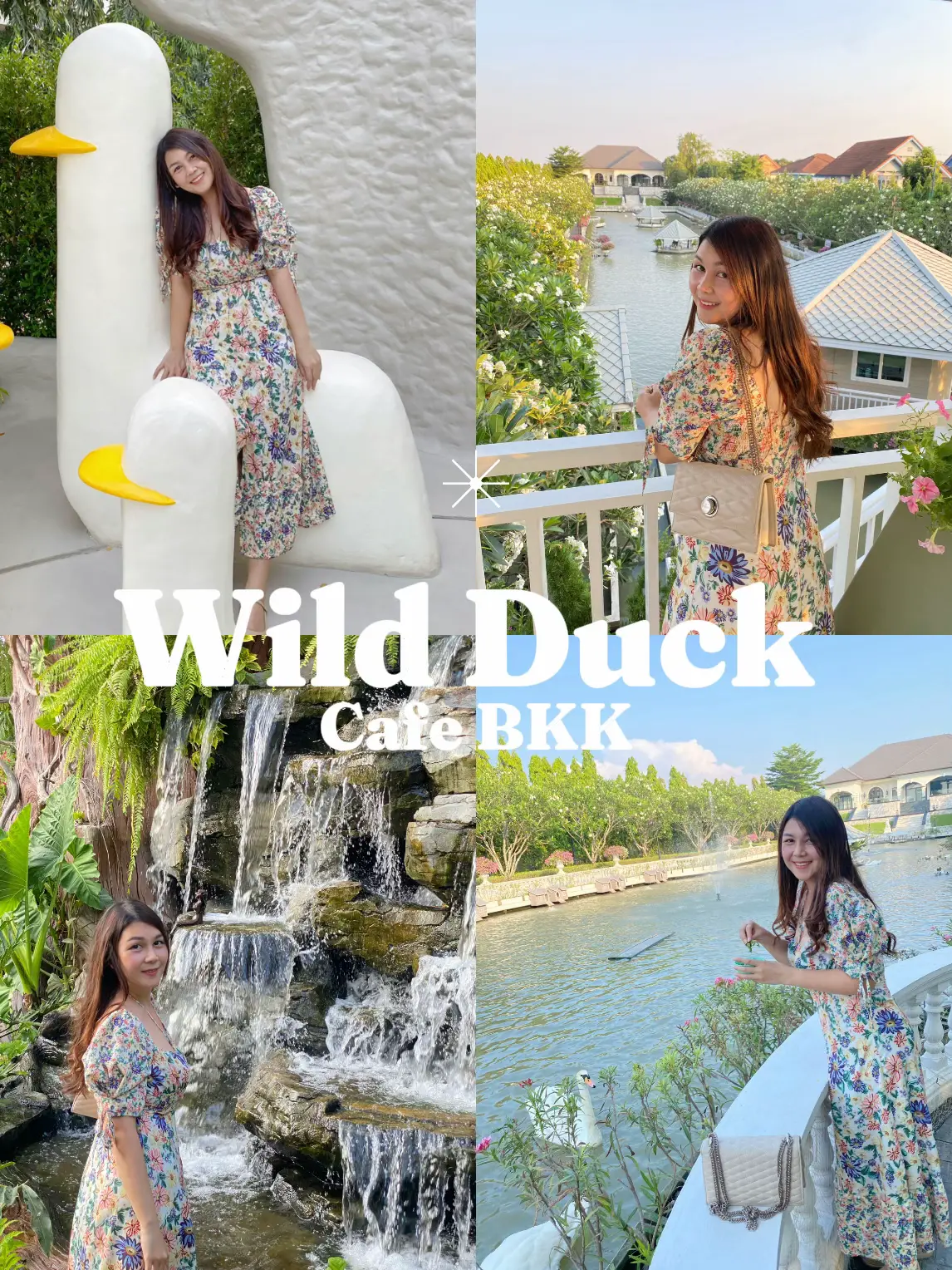 Wild Duck Cafe (คาเฟ่เป็ด)🐥 | แกลเลอรีที่โพสต์โดย Aomjaii (AJ) ♡ | Lemon8