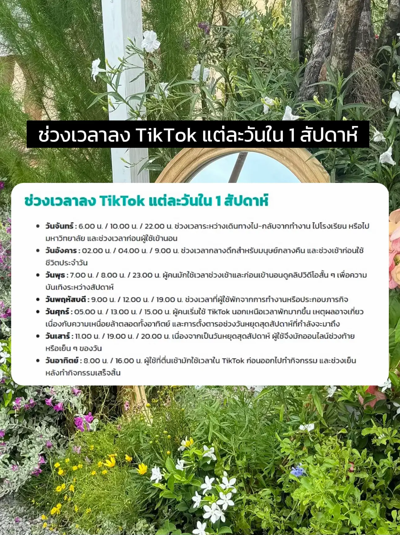 อัพเดตเวลาลงโพสTiktokช่วงไหนปัง 💫 📌 | แกลเลอรีที่โพสต์โดย Pank 94♾ | Lemon8