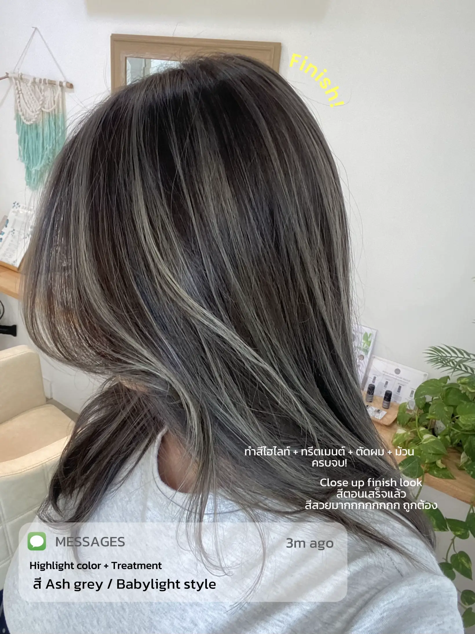 Ash grey highlight ทำไฮไลท์ผ่านไป 7 เดือนเป็นยังไง? | แกลเลอรีที่โพสต์ ...