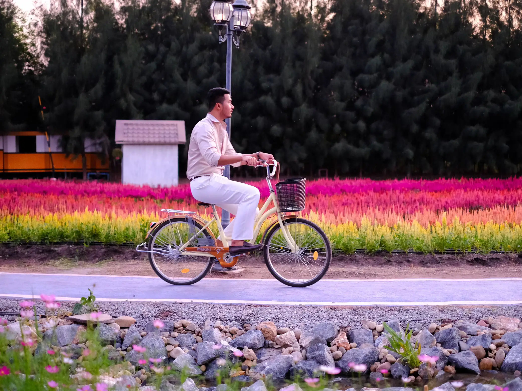 𝑩𝑨𝑨𝑵 𝑹𝑨𝑰 𝑵𝑨𝑰 𝑹𝑼𝑵𝑮 𝑺𝑬𝑨𝑺𝑶𝑵 𝟖 💐𝒦𝒶𝓃𝒸𝒽𝒶𝓃𝒶𝒷𝓊𝓇𝒾 ,𝒯𝒽𝒶𝒾𝓁𝒶𝓃𝒹 | แกลเลอรีที่โพสต์ ...