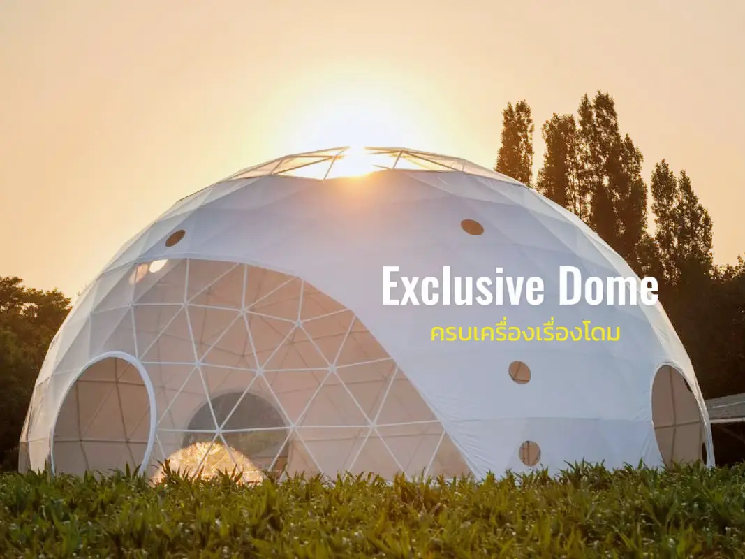 Exclusive Dome | Gallery posted by Tiwa | Lemon8