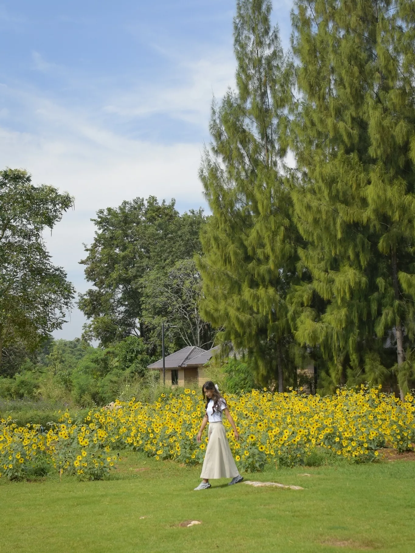 Secret Flower KhaoYai คาเฟ่ดอกไม้เขาใหญ่ | แกลเลอรีที่โพสต์โดย Ploy Kun | Lemon8